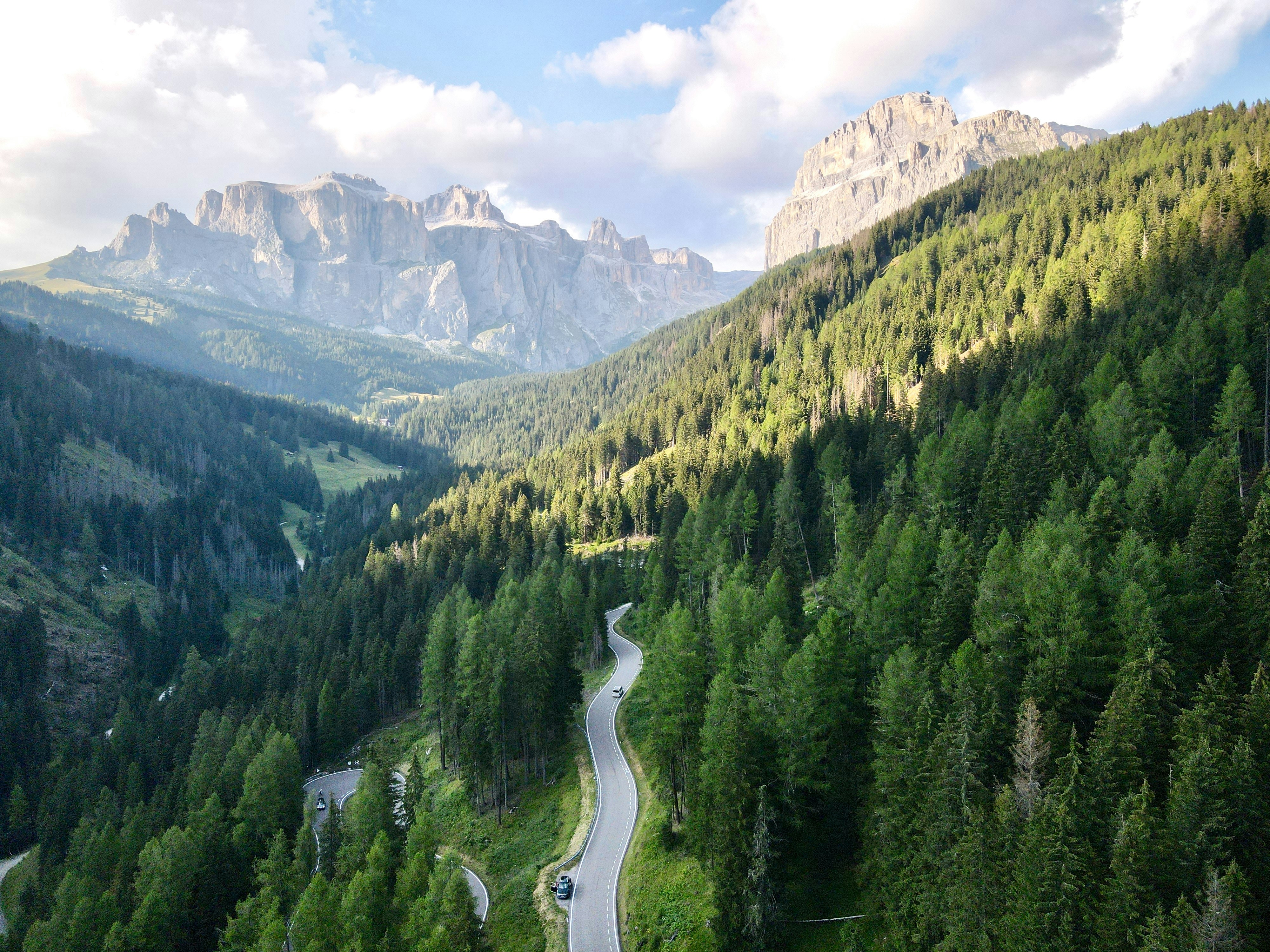 Winding Carved Ribbon Through a Pine Valley Beneath Alpine Peaks