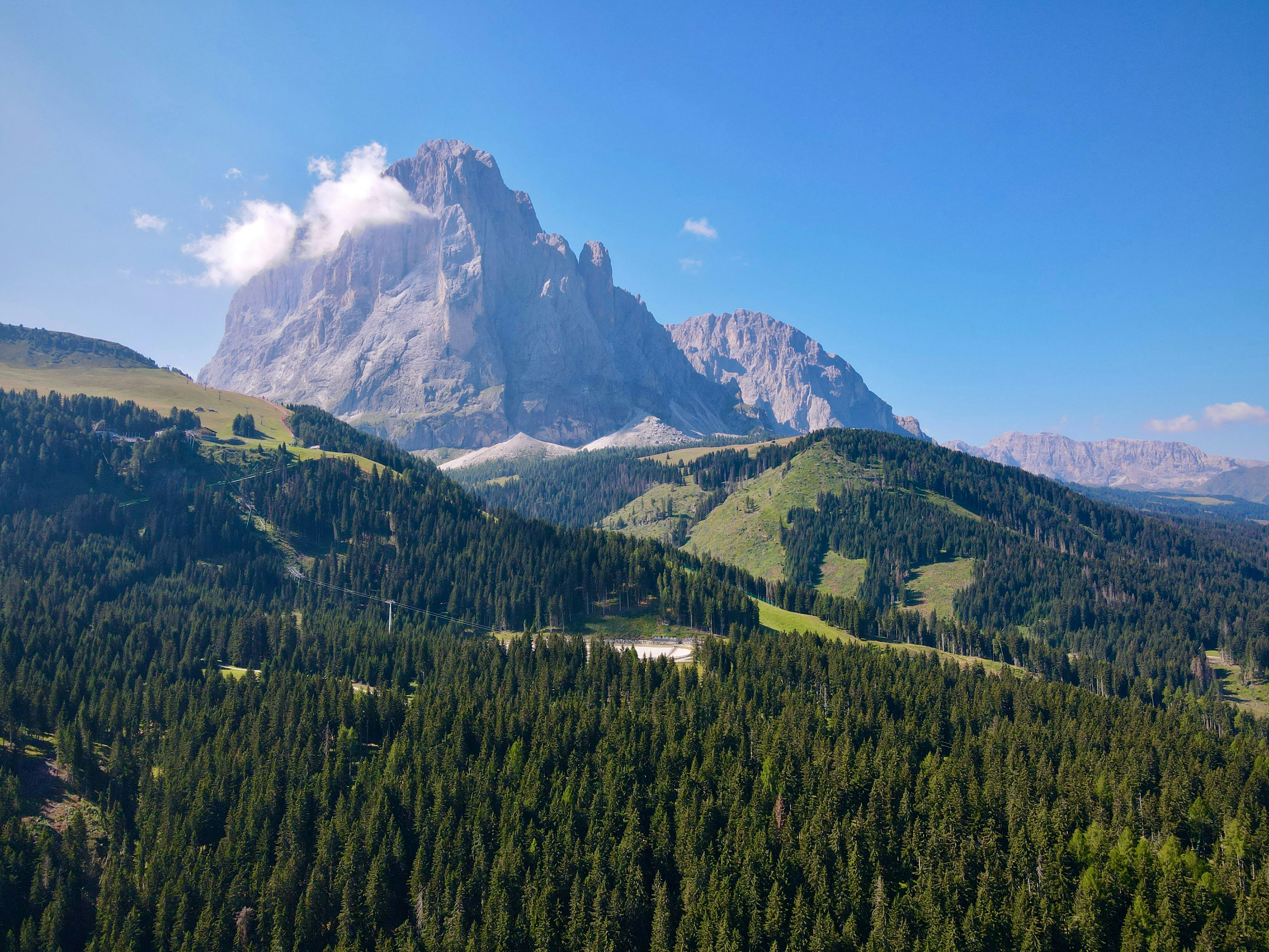 Summit Crown: A Mountain Peak Rising Above Pine Valleys