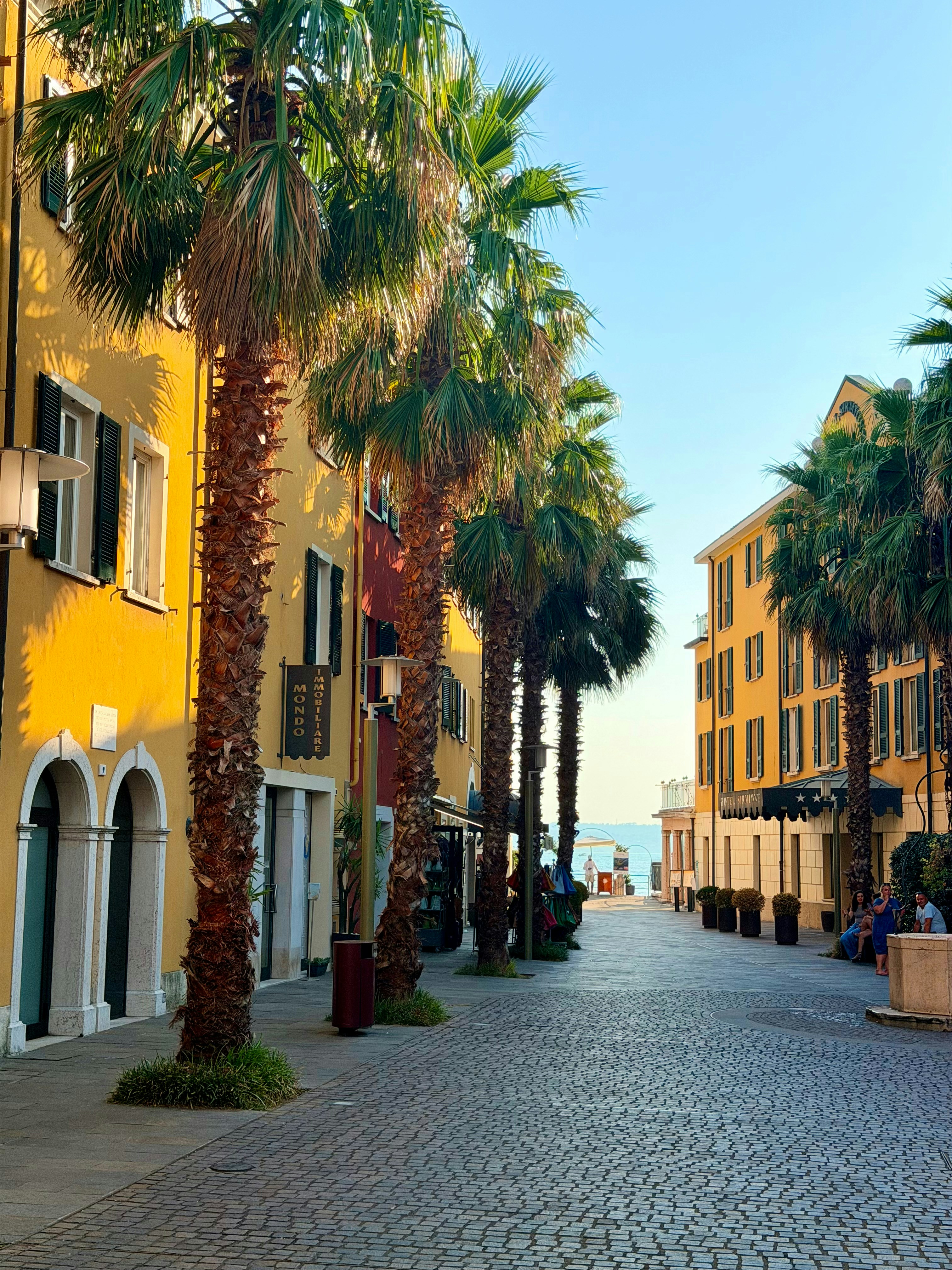 Sunlit Calle of Palmlight