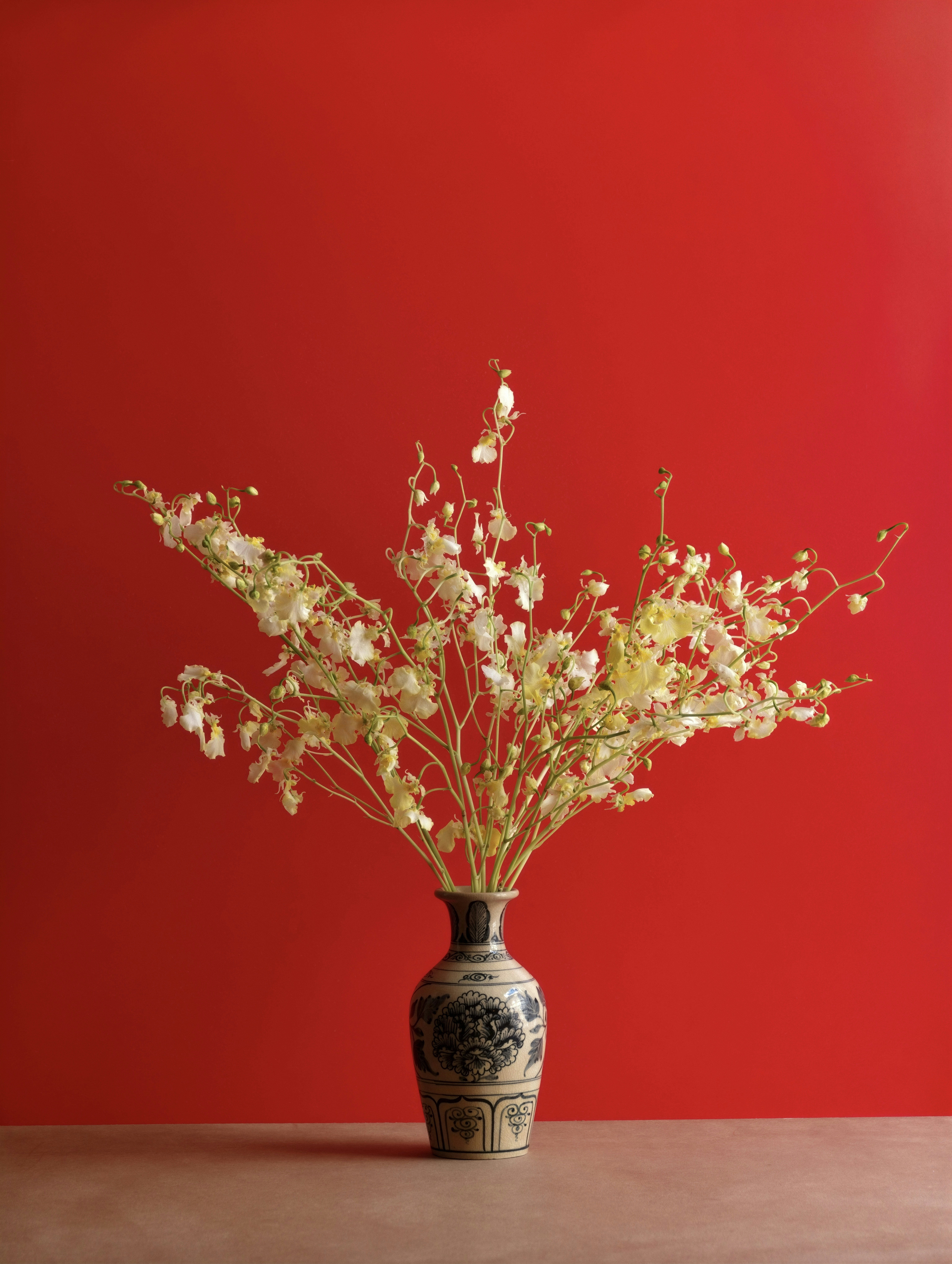 Crimson Backdrop, Silent Bloom: A Blue-and-White Vase Graces a Red Wall