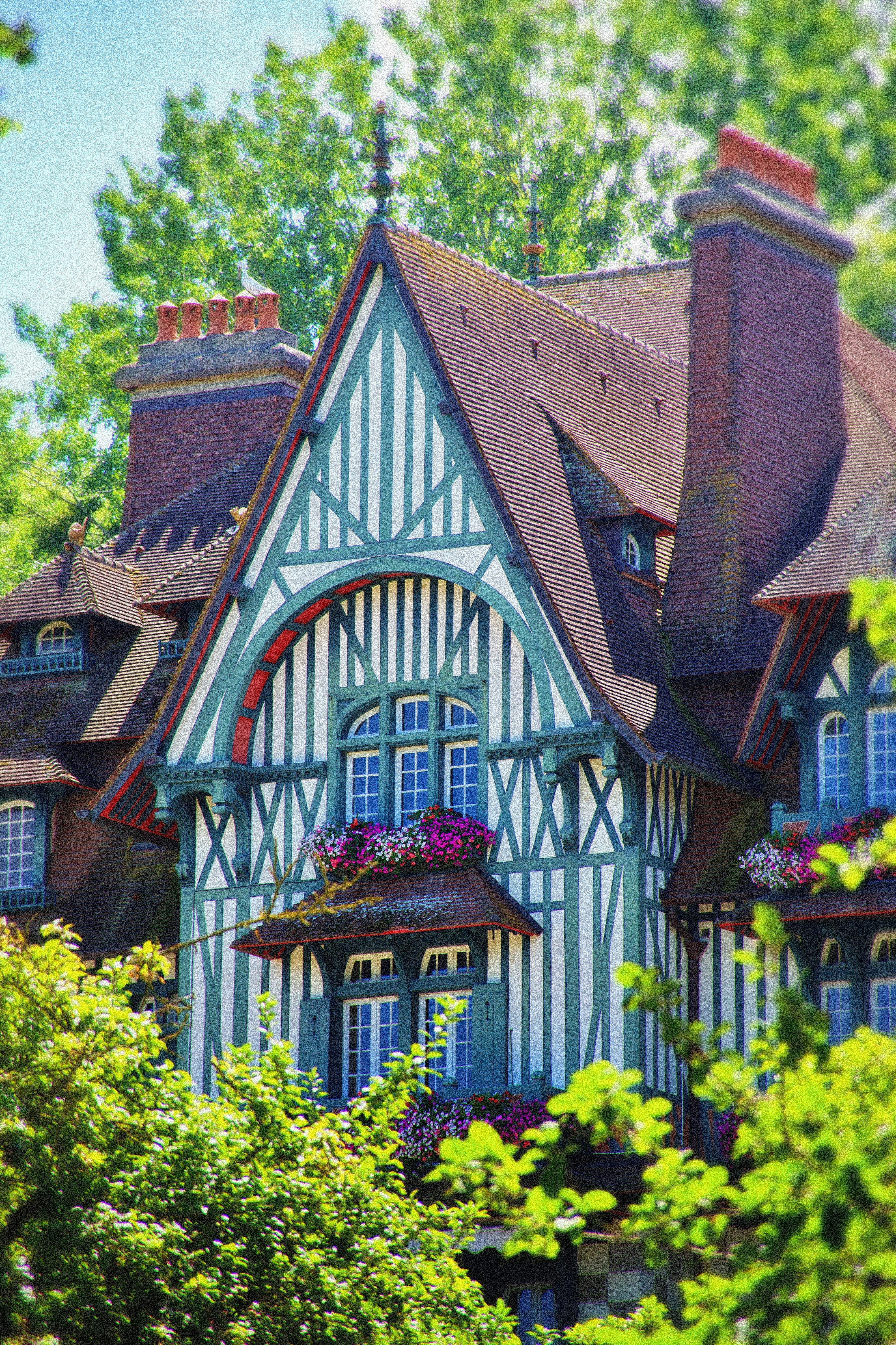 Timbered Facade: A Charming Germanic House in Full Bloom