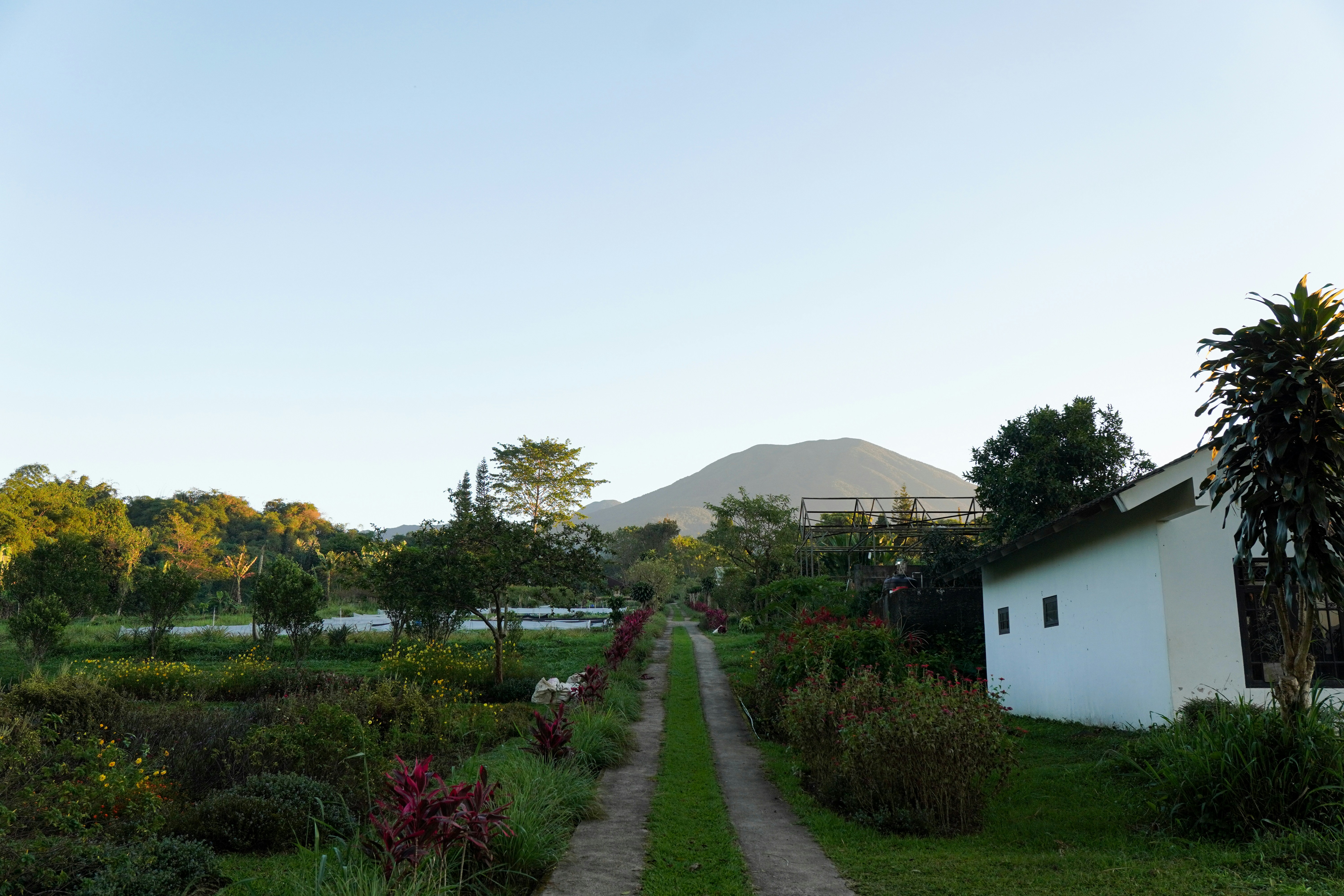 Pathway to the Hilltop Garden