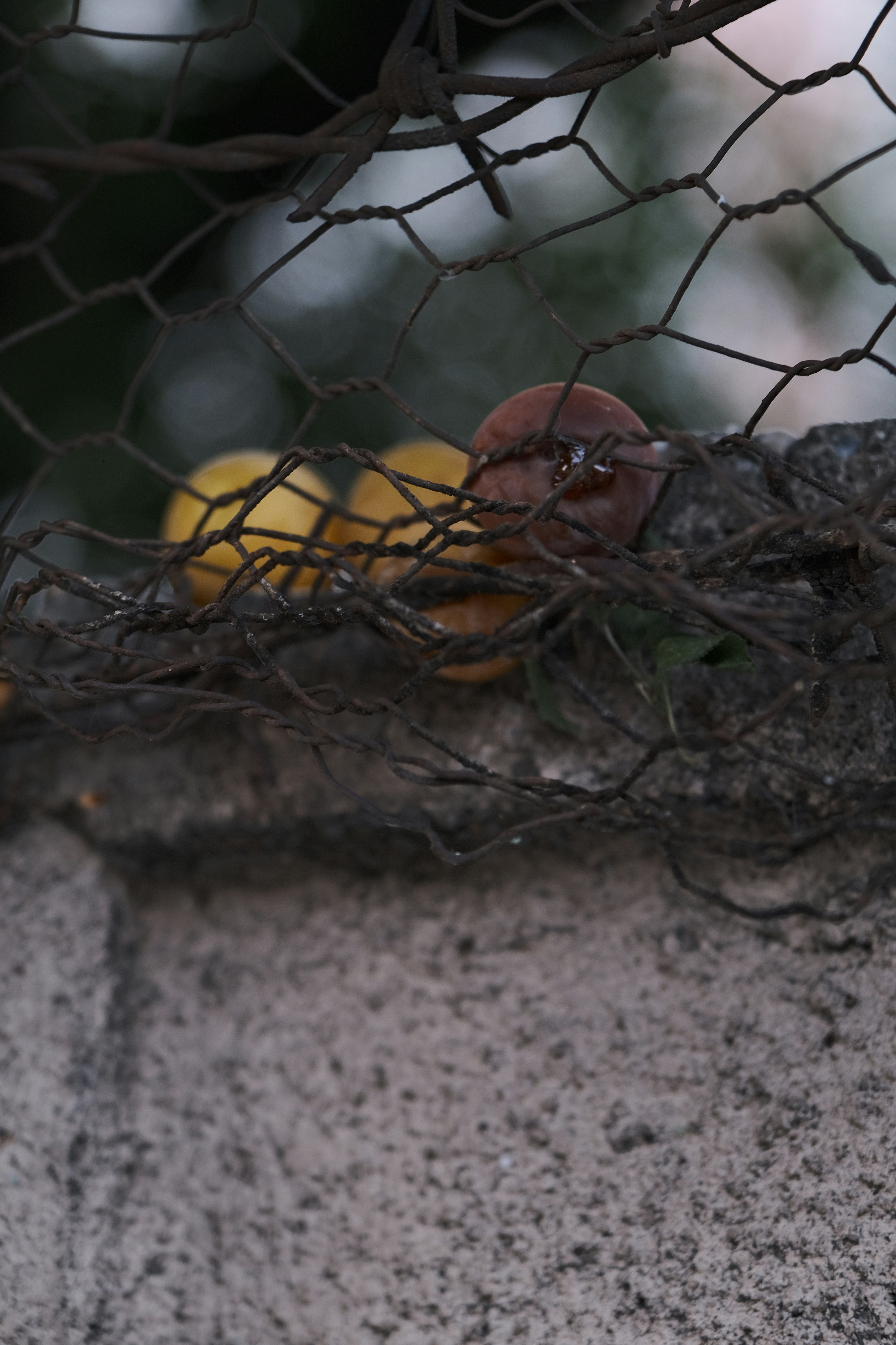 Wrought iron mesh over a weathered ledge with blurred fruit behind