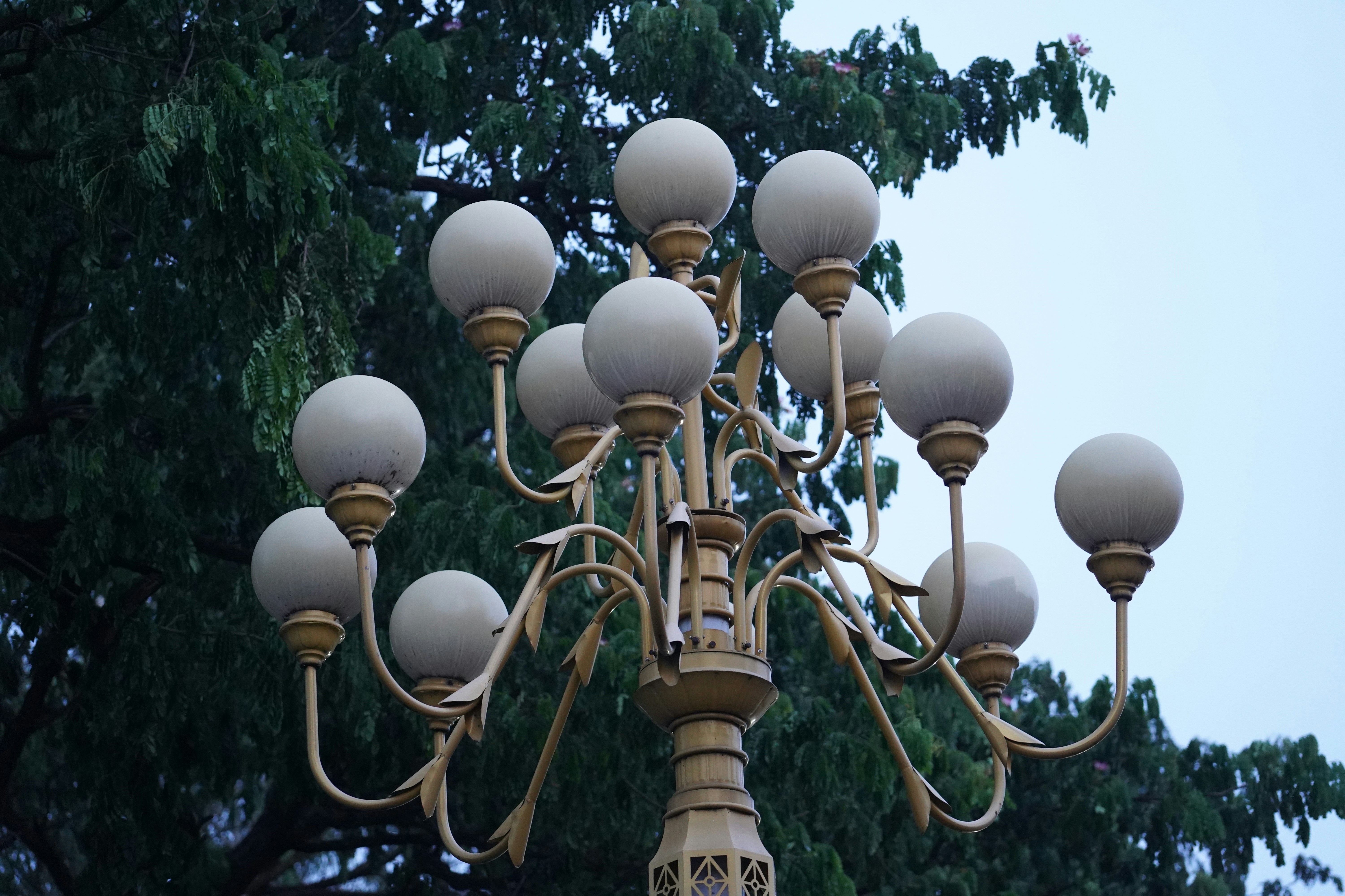 Ornate Streetlamp Cluster Rising Under a Canopy of Green
