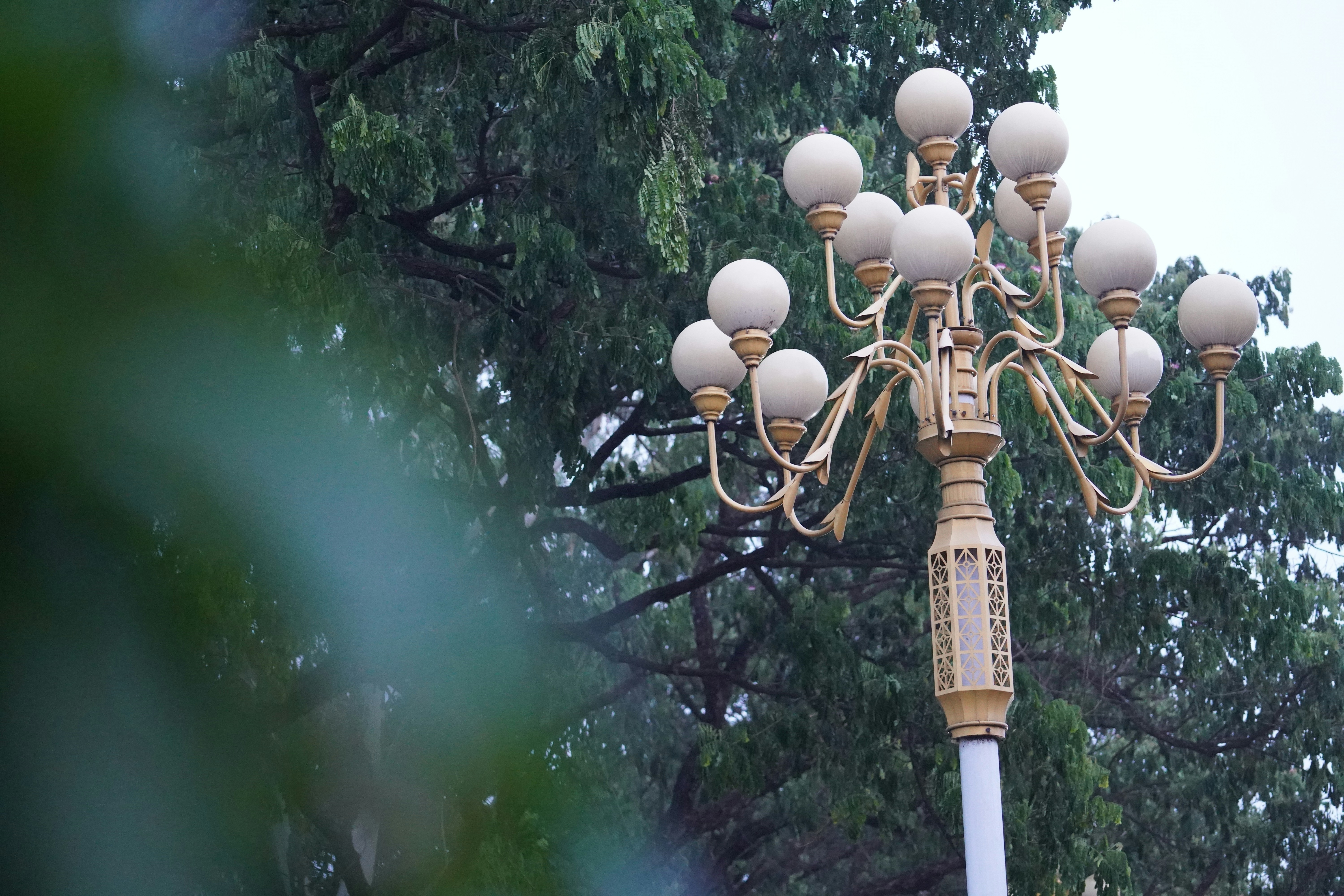 Ornate Lantern Symphony Rising Above Green Veil