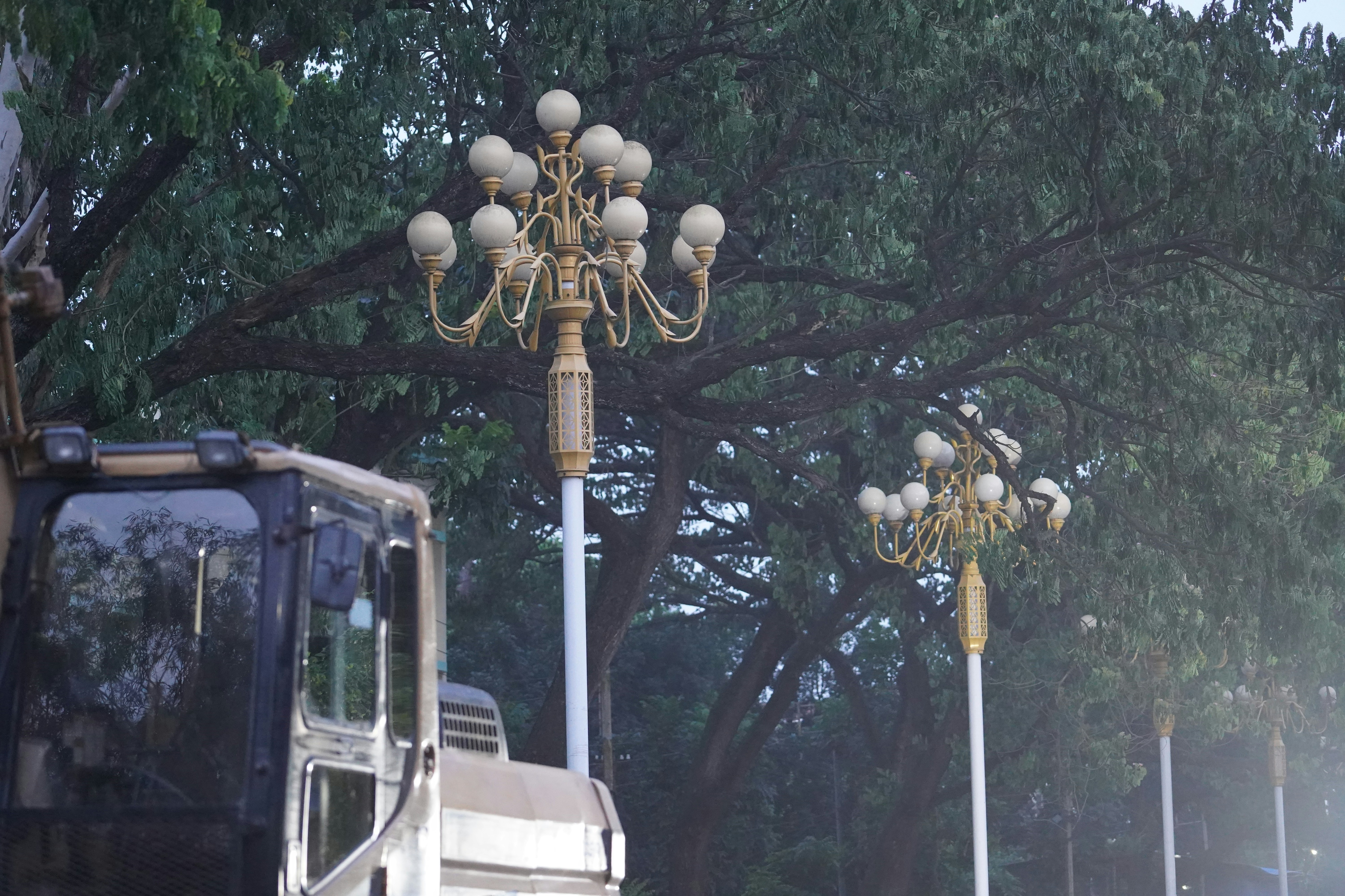 Ornate Street Lamps Amid Misty Urban Vista