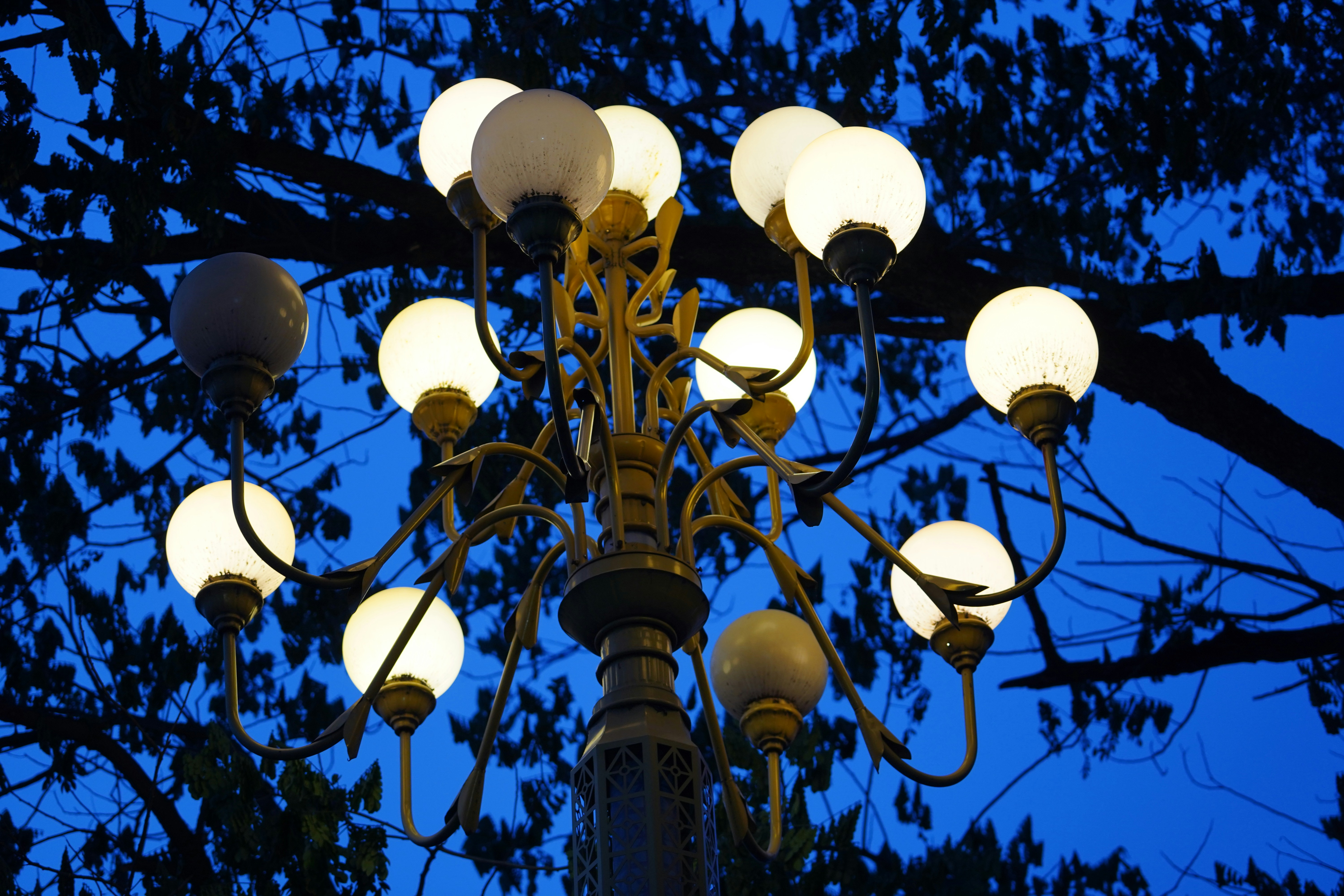 Glowing Umbrella of Orbs: A Luminous Street Lamp Crowned by Night Sky