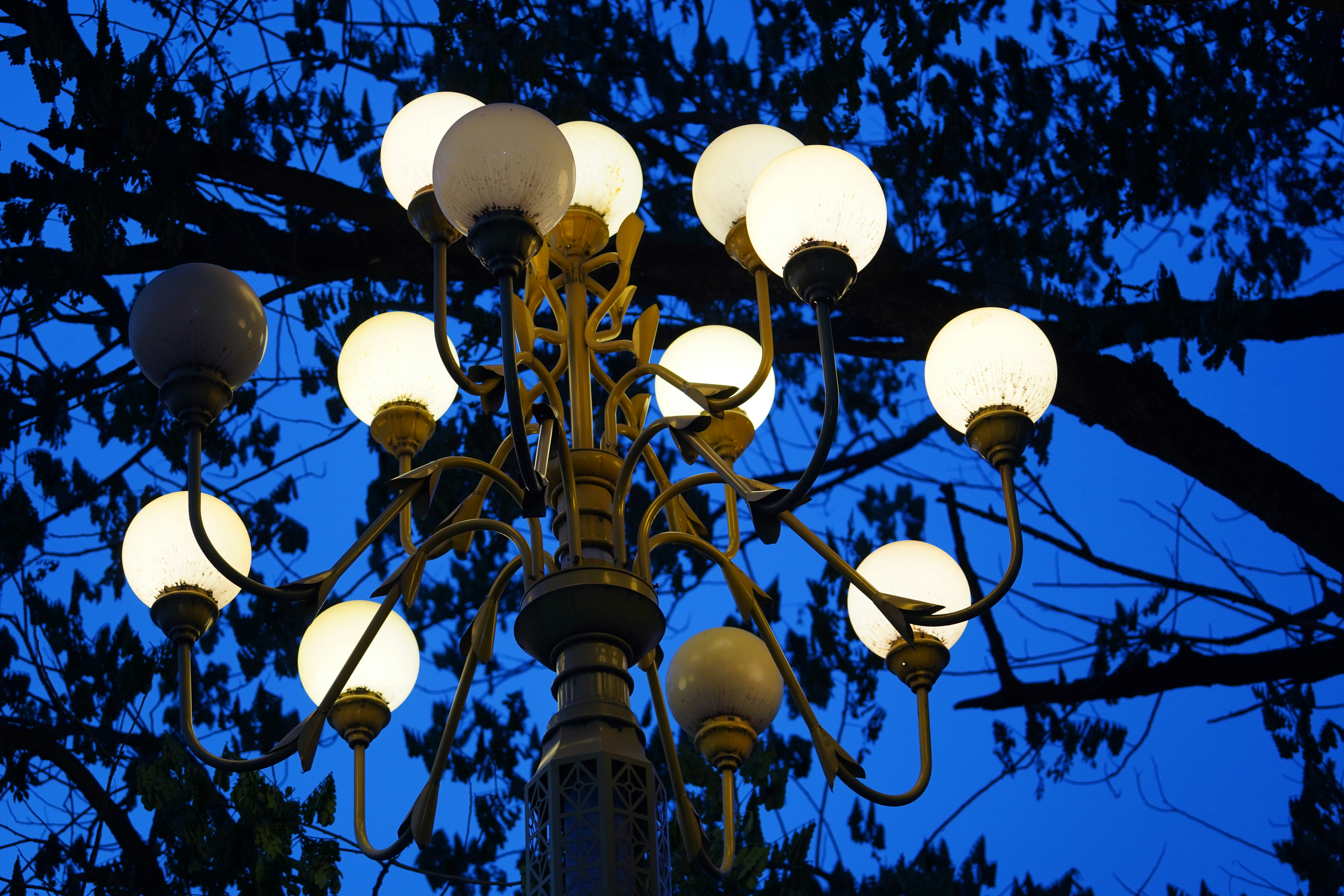 Glowing Orbs Against Nightfall: A Lantern Cascade in Blue