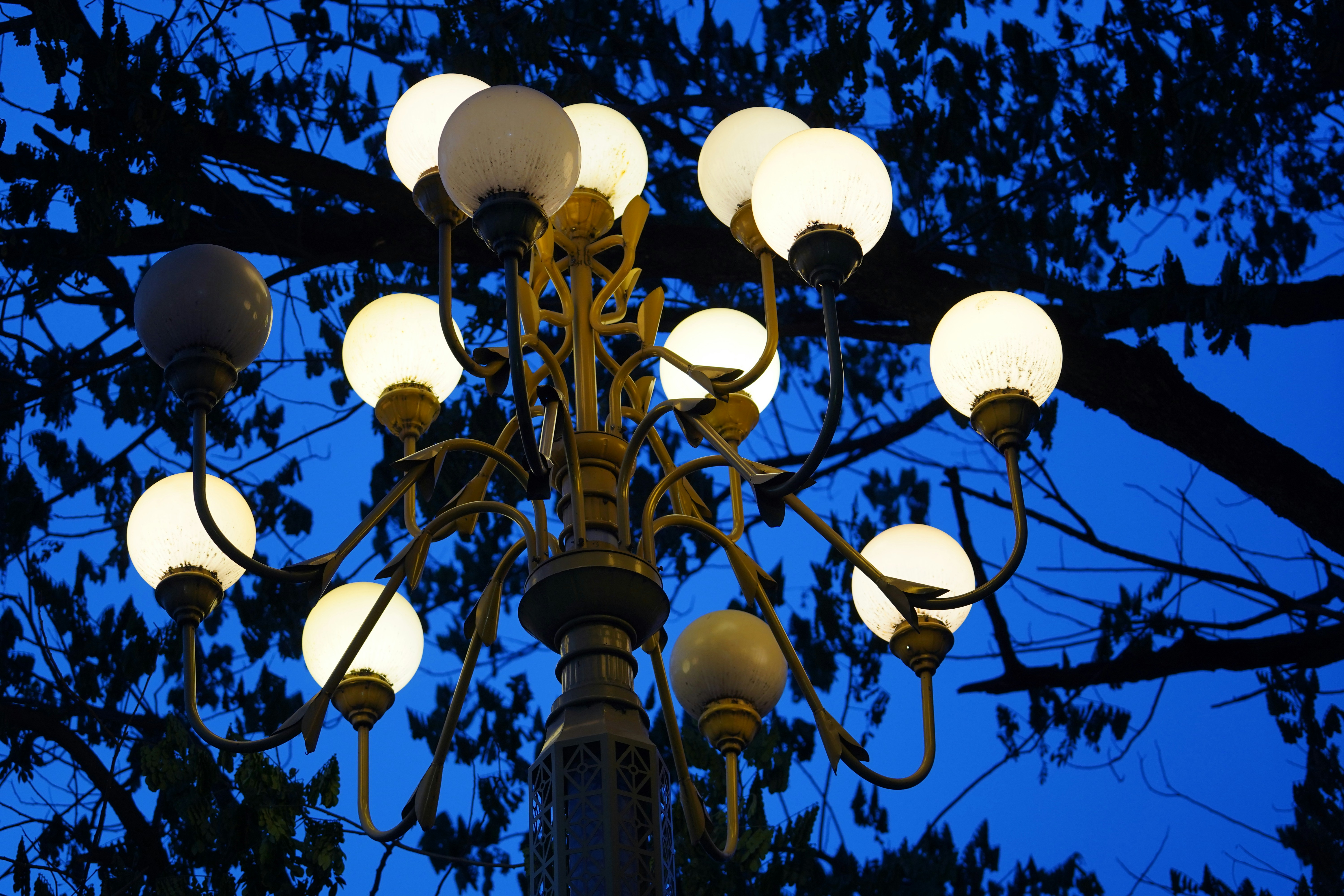 Luminous Crown: Nighttime Orpheum of Globe Lights