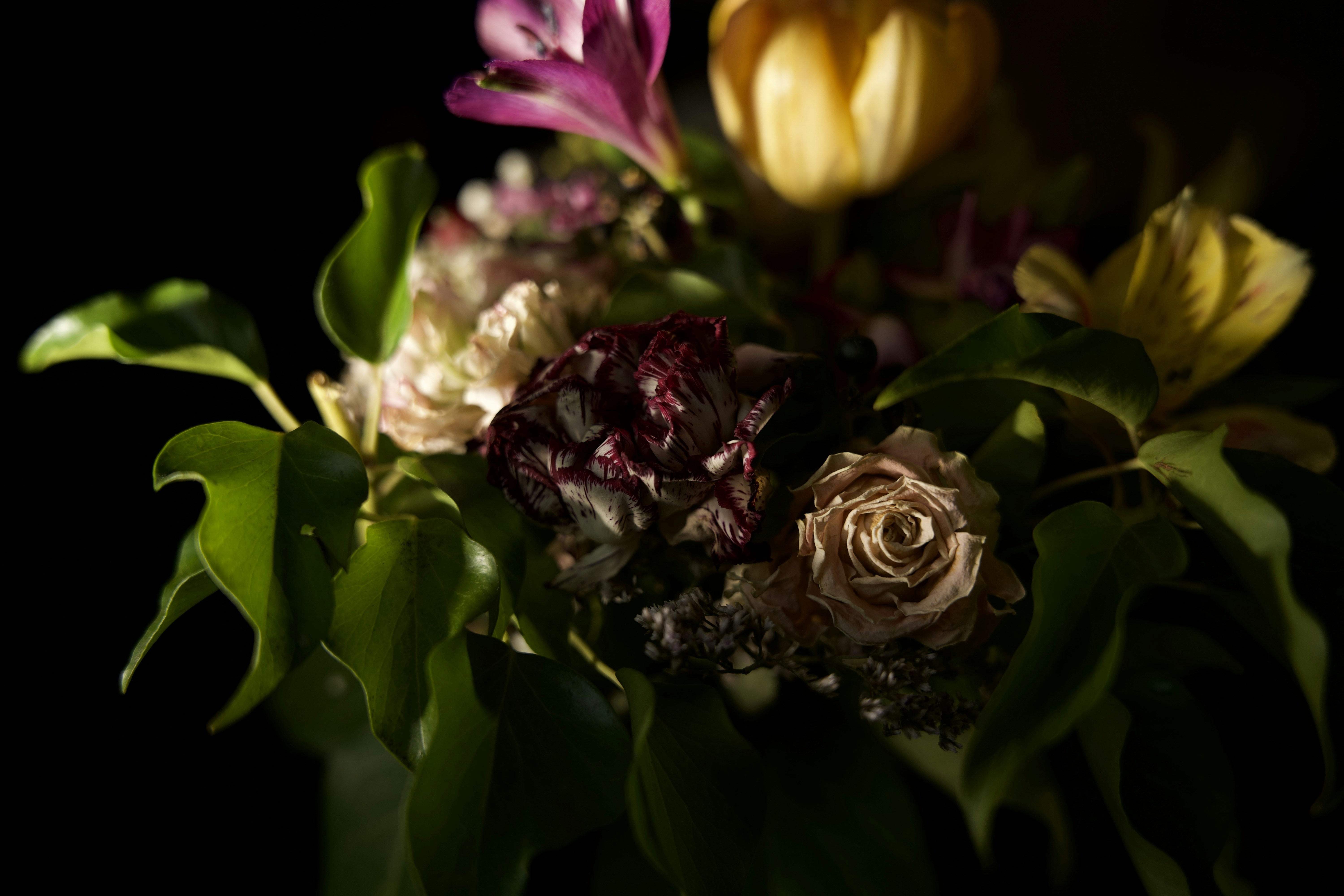 Luminous Bouquet in the Shadowed Gloom
