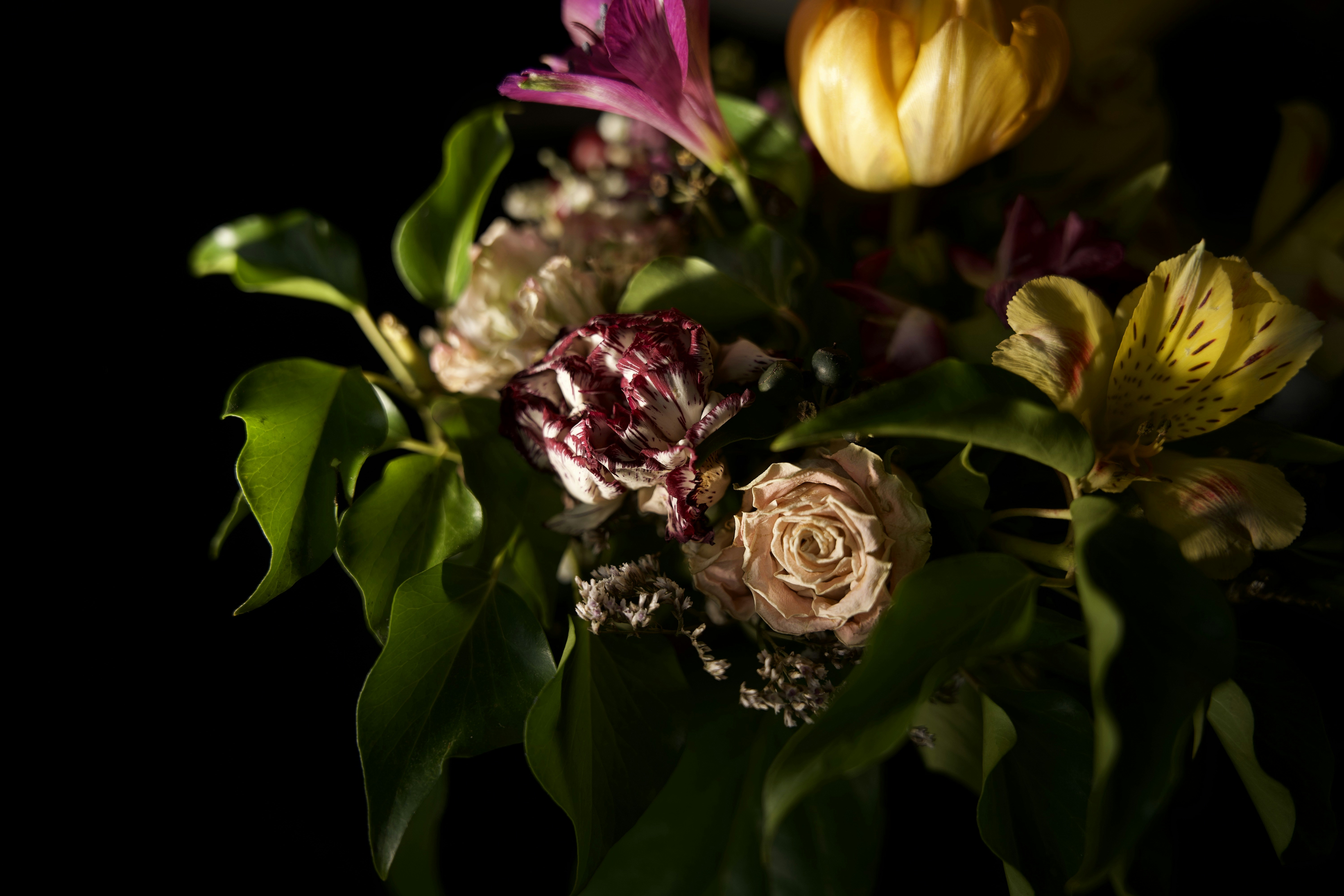 Midnight Bloom: A Tender Bouquet Against Velvet Darkness