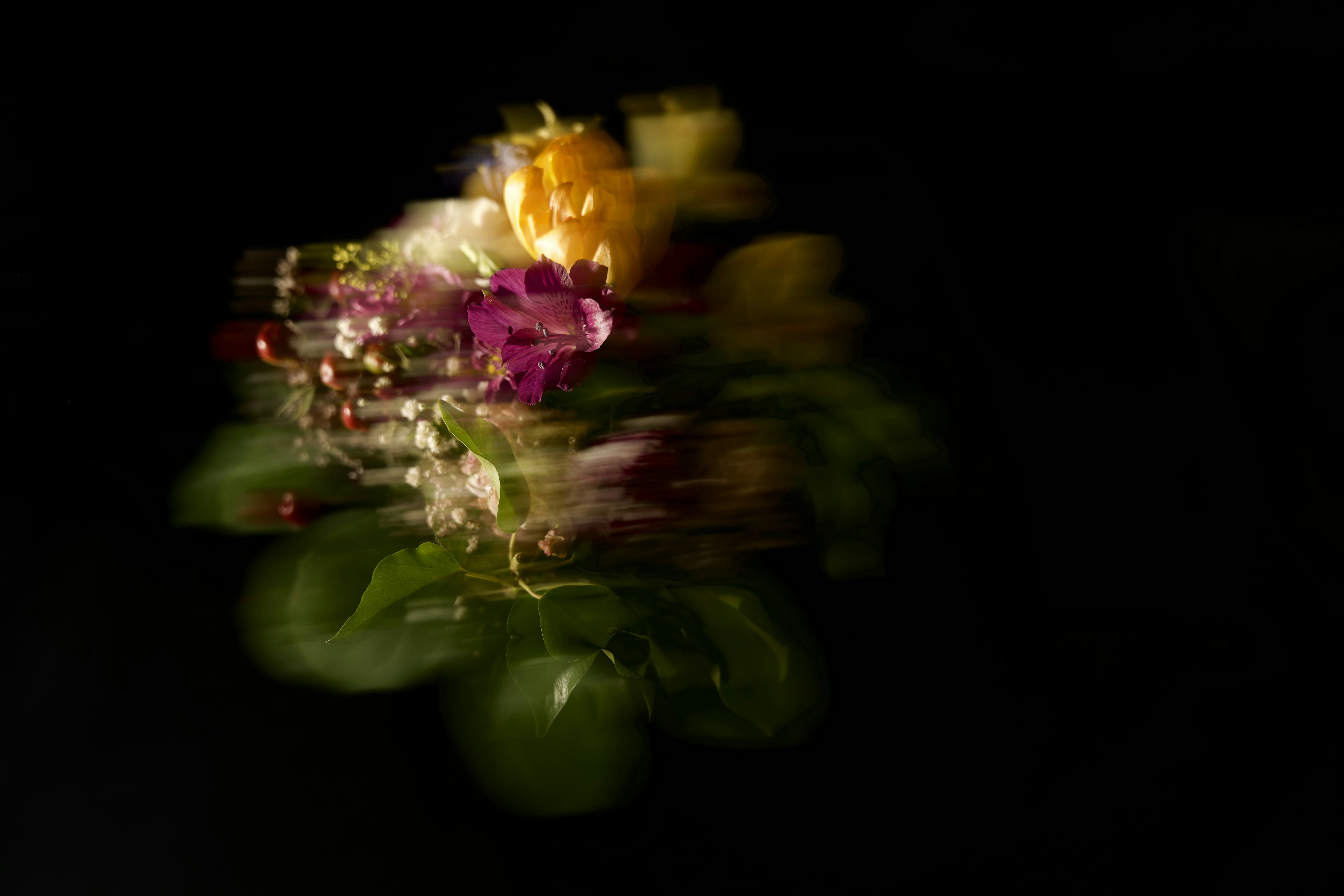 Blurred Bloom: A Quiet Burst of Color in Darkness