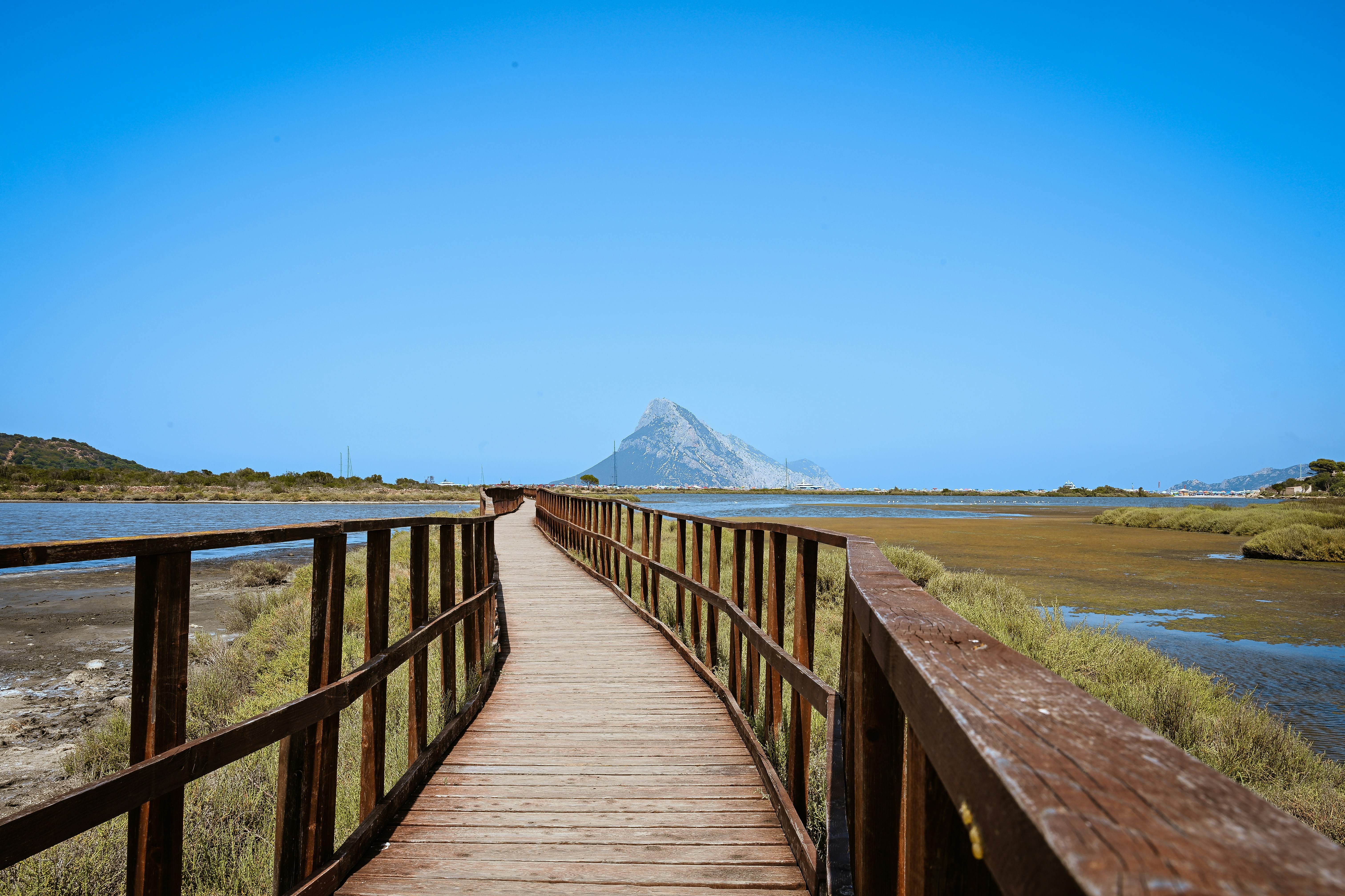 Toward the Lone Peak: A Wooden Path to the Horizon