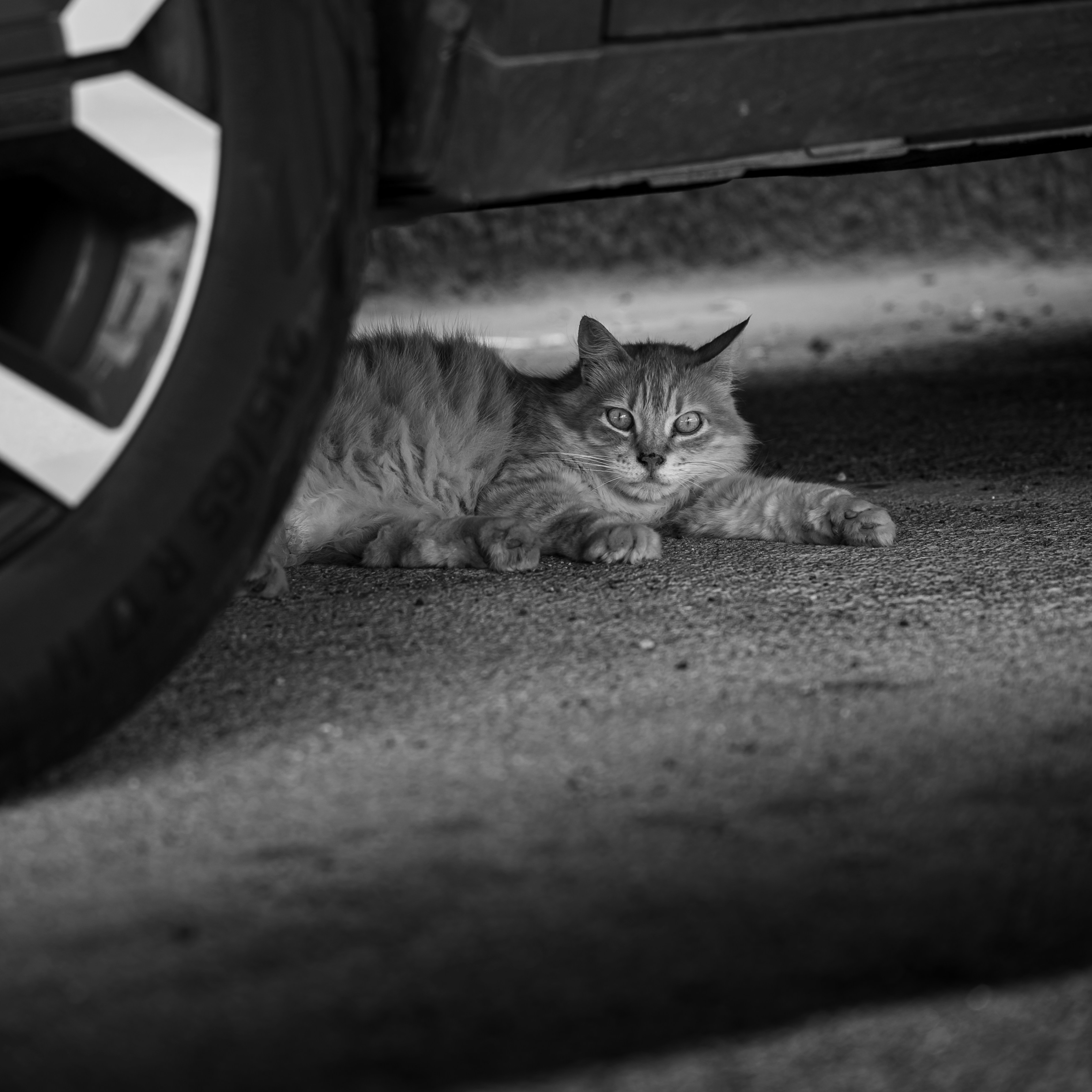 Hidden Under the Car: a Relentless Resolve