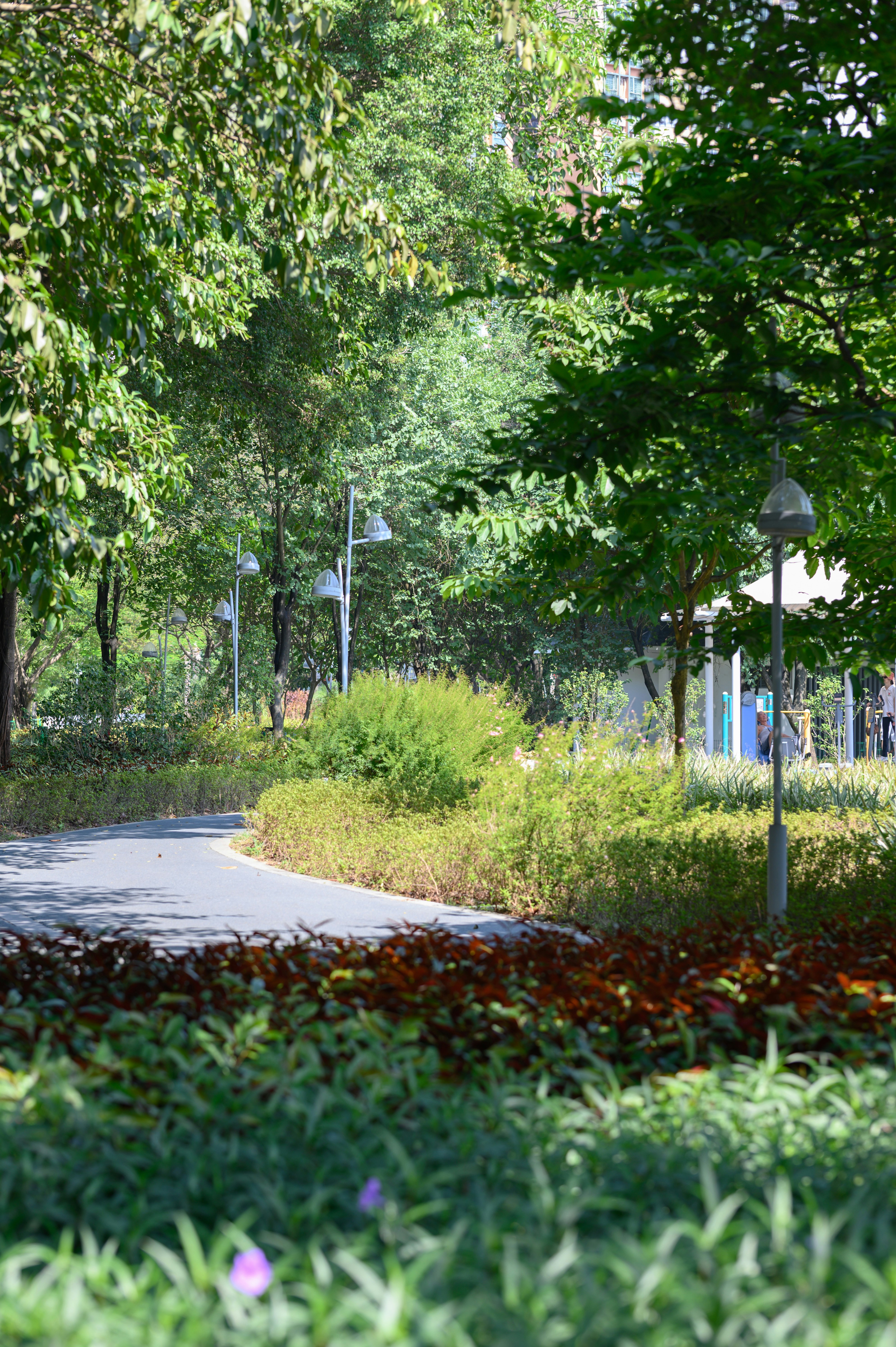 Sunlit Path Through a Shaded Urban Park