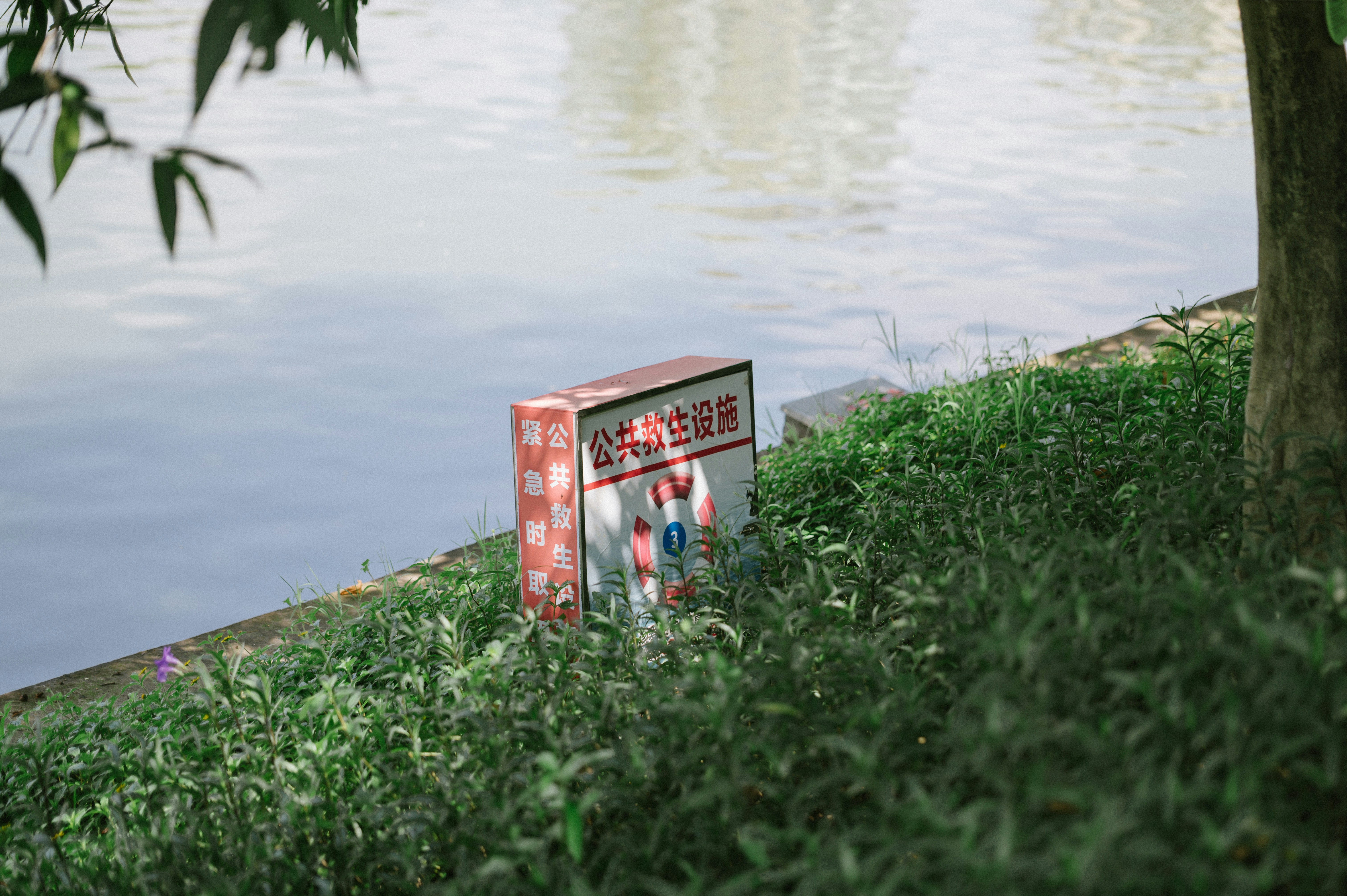 Red Utility Box By the Waterline