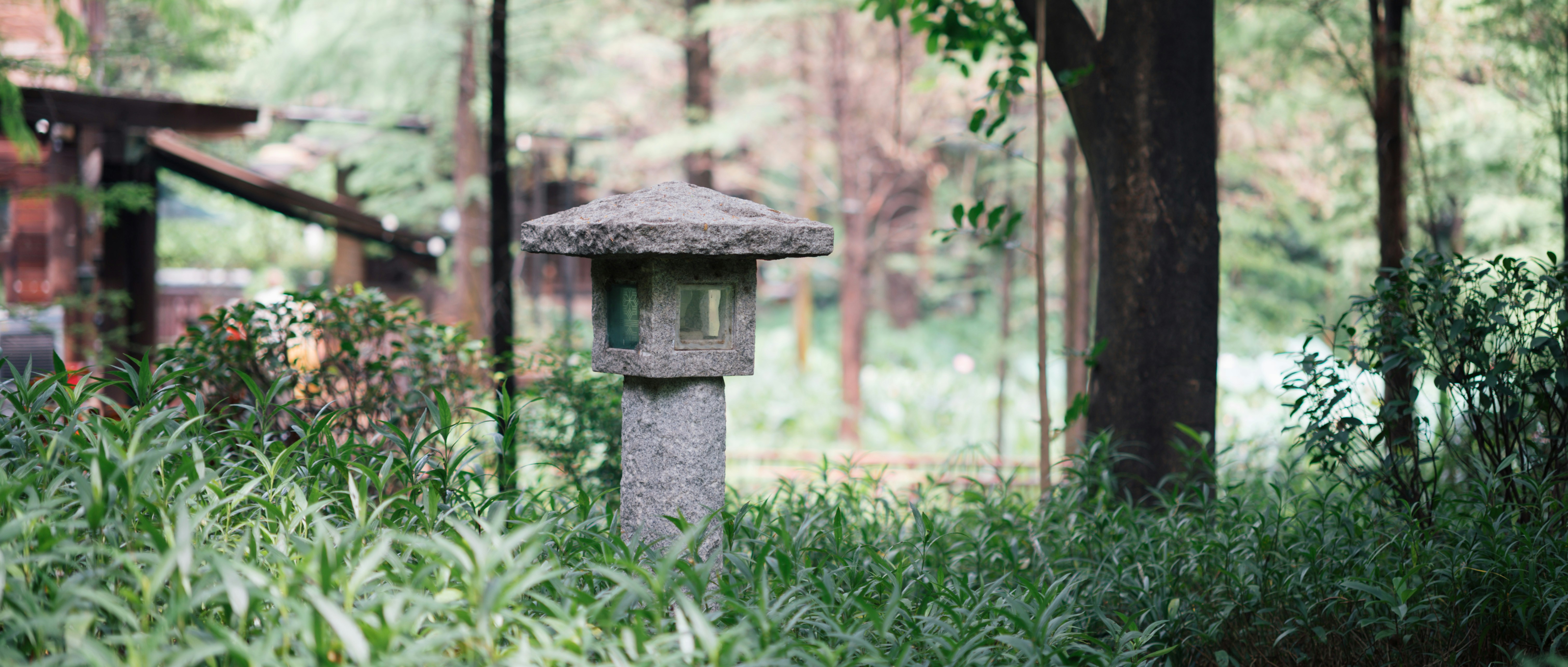 Stone Lantern Amid Quiet Garden Ferns