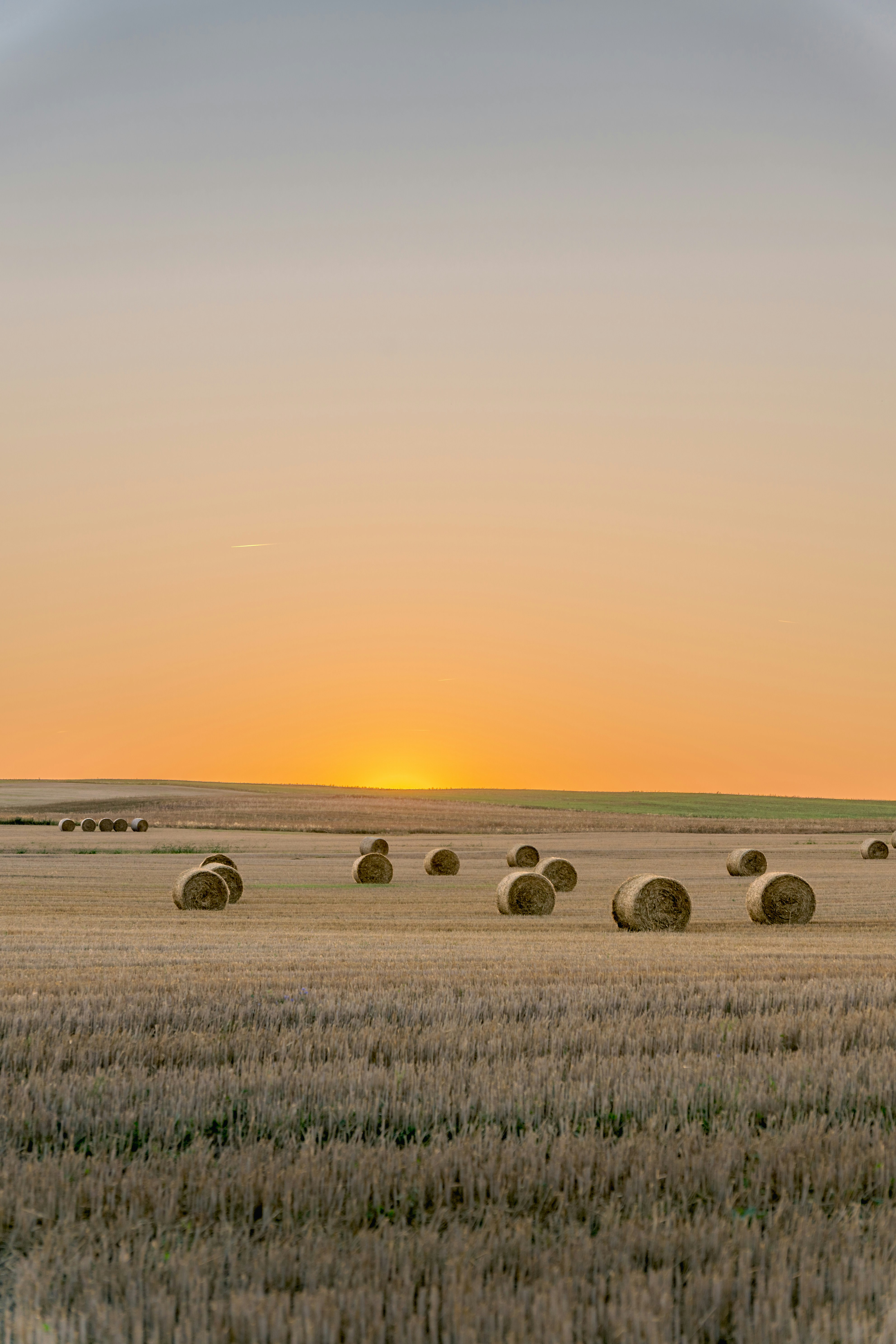 Golden Echoes over the Stubble: A Field of Hay Circles at Dusk