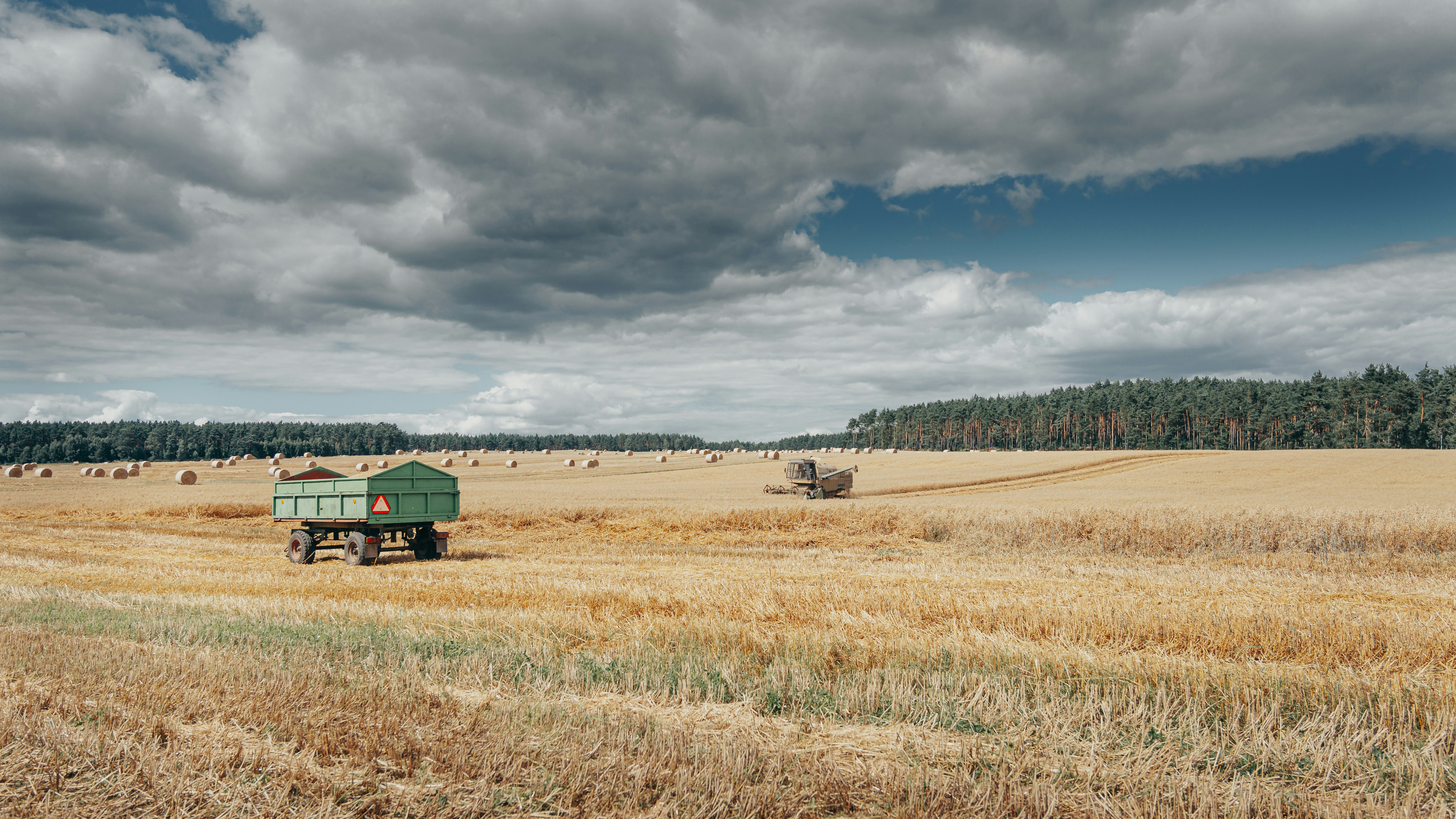 Harvest Road: A Tractor’s Quiet Journey Through Golden Fields