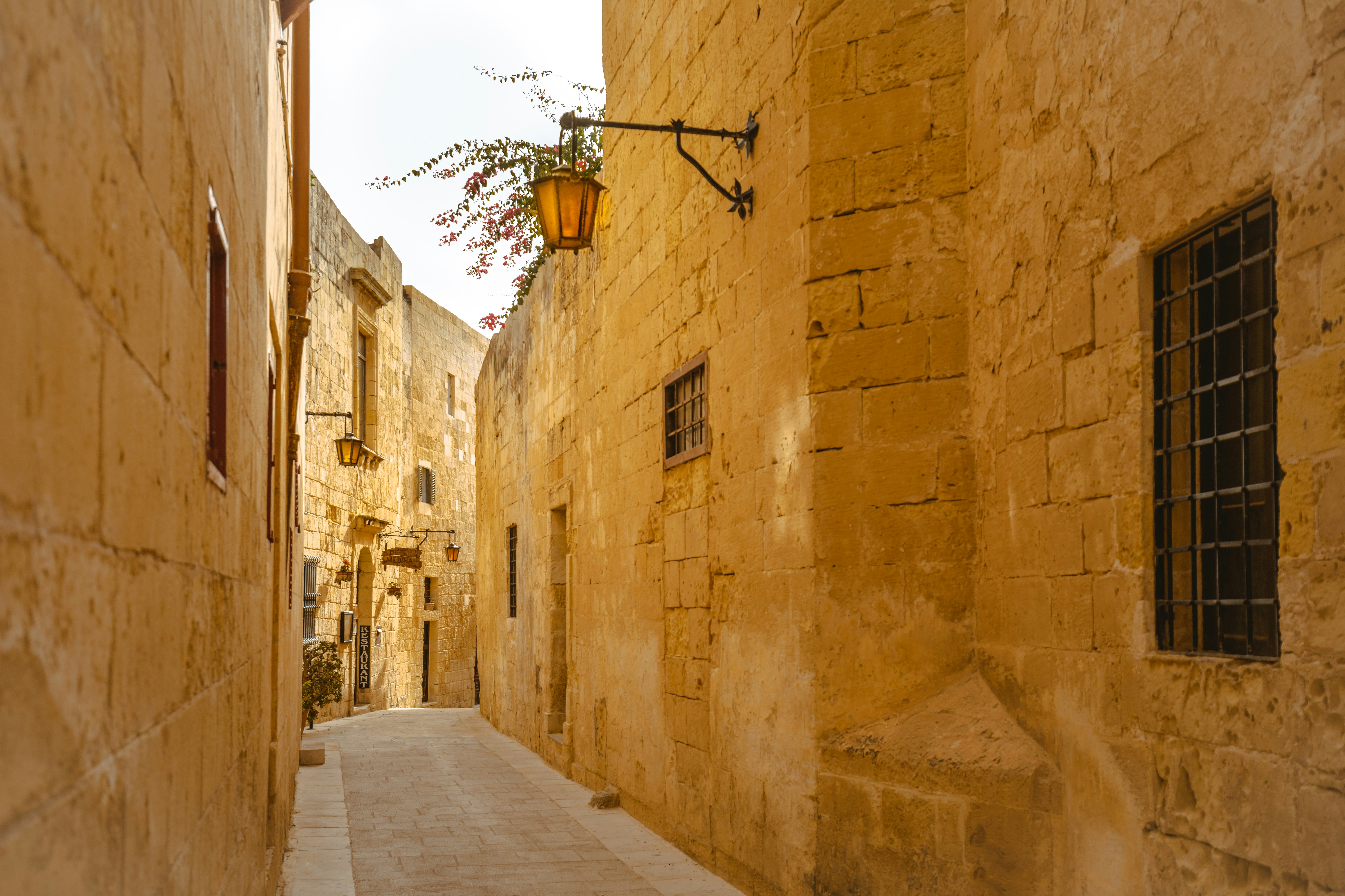 Golden Calle: A Sunlit Canyon of Stone