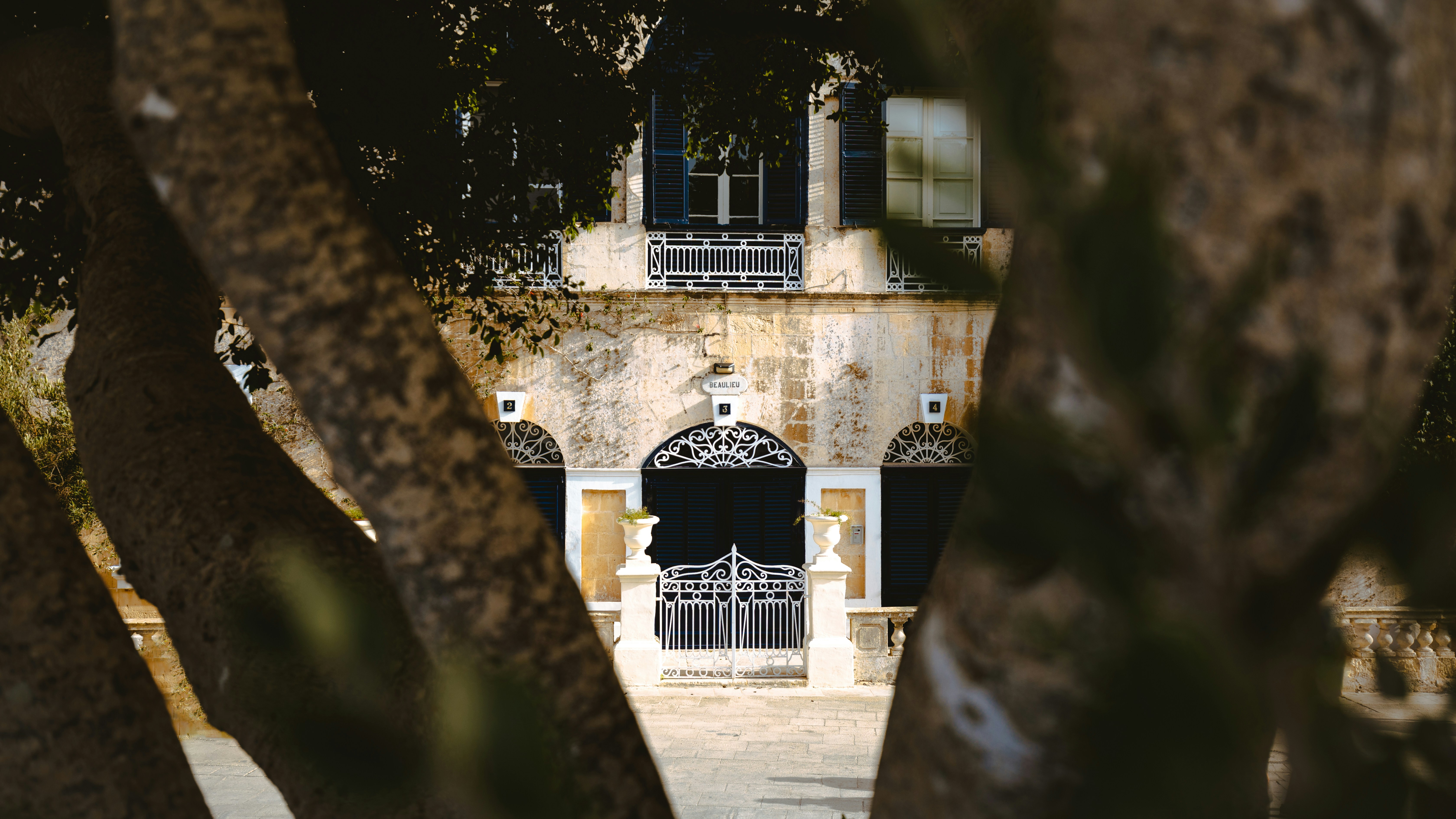 Covered Courtyard Gateway framed by Encroaching Foliage