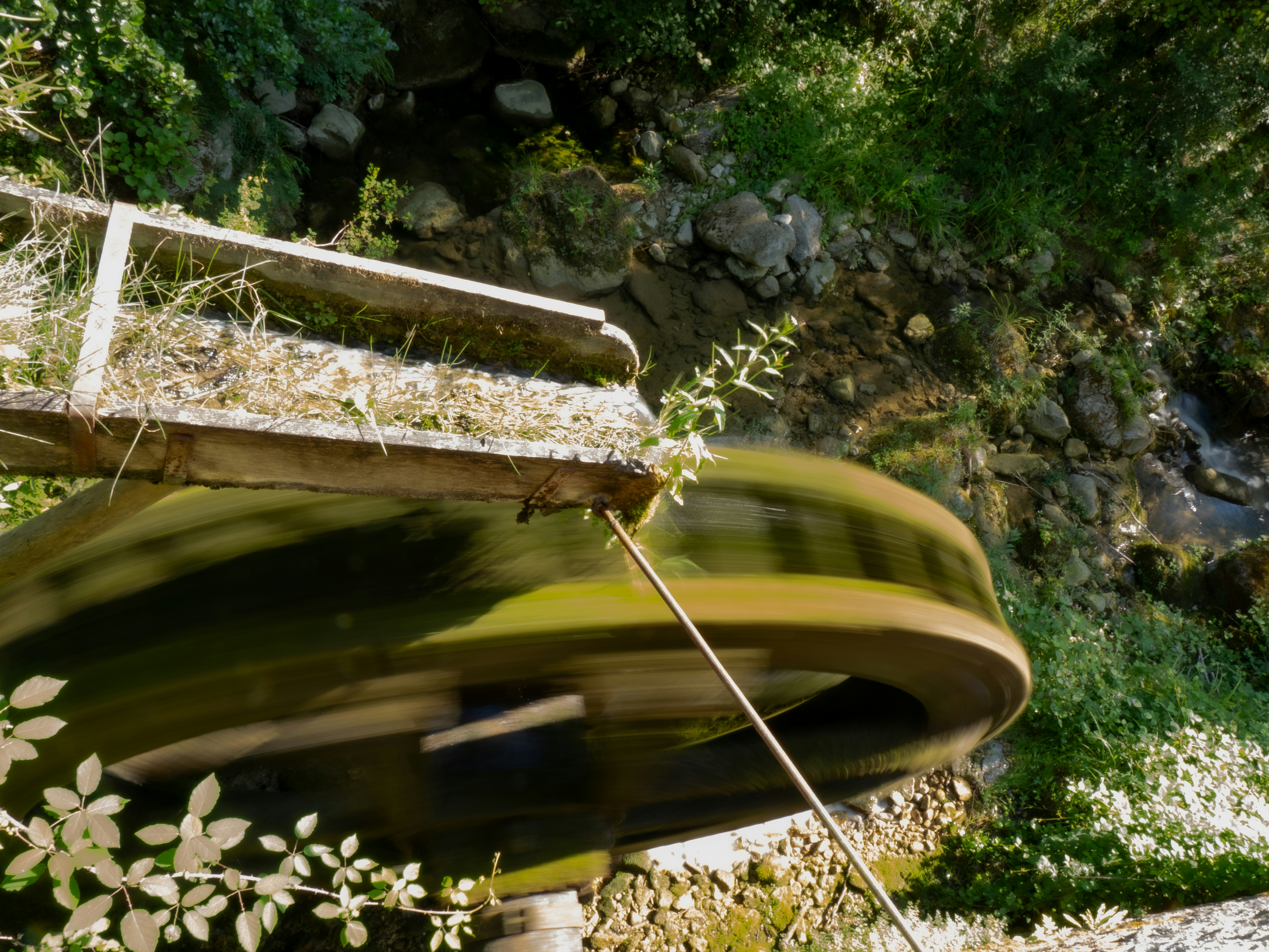 Motion on the Timber Bridge: A Timbered Wheel in Swift Descent
