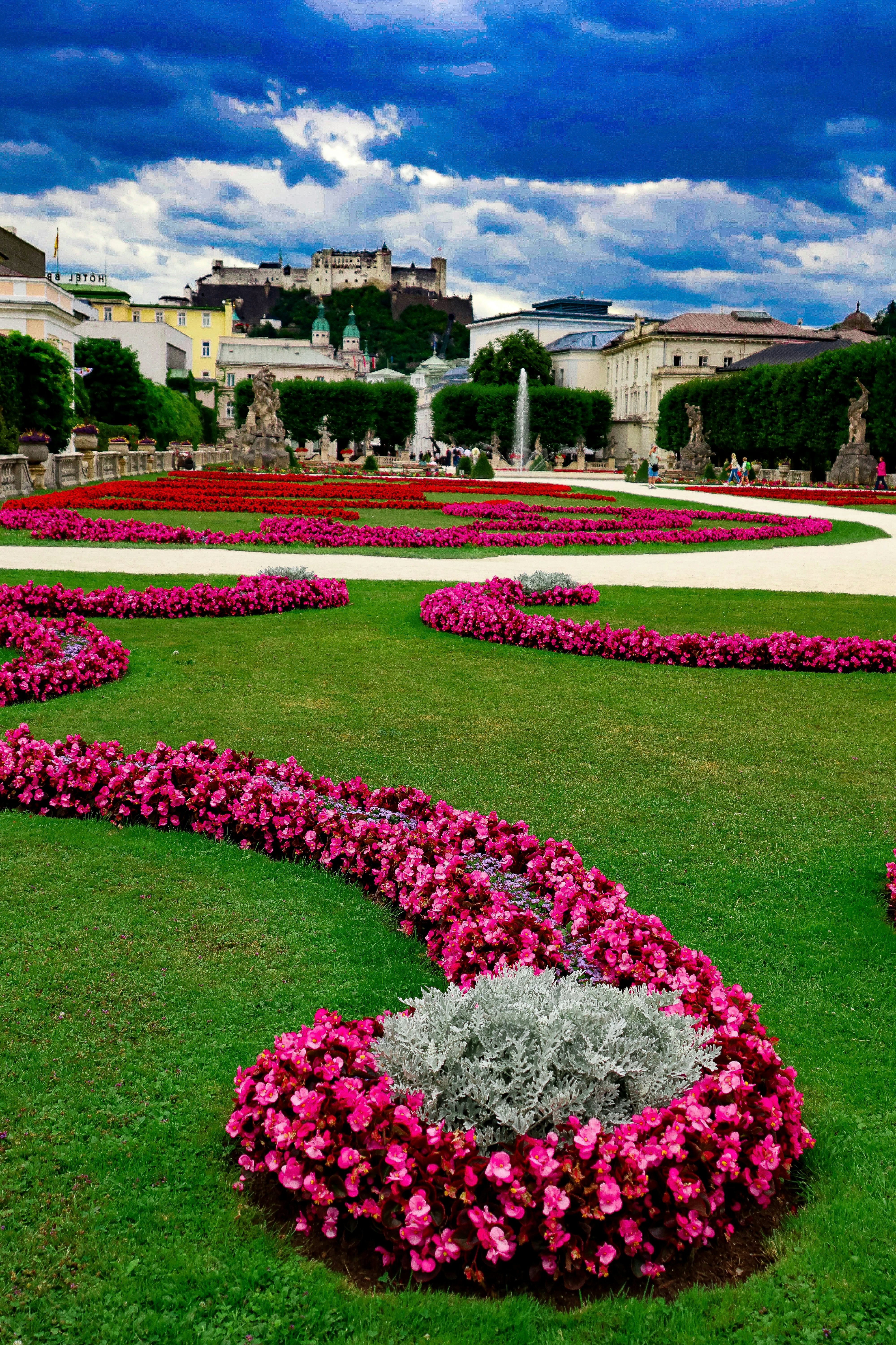 Crimson Curves: A Pink-flowered Garden Horizon