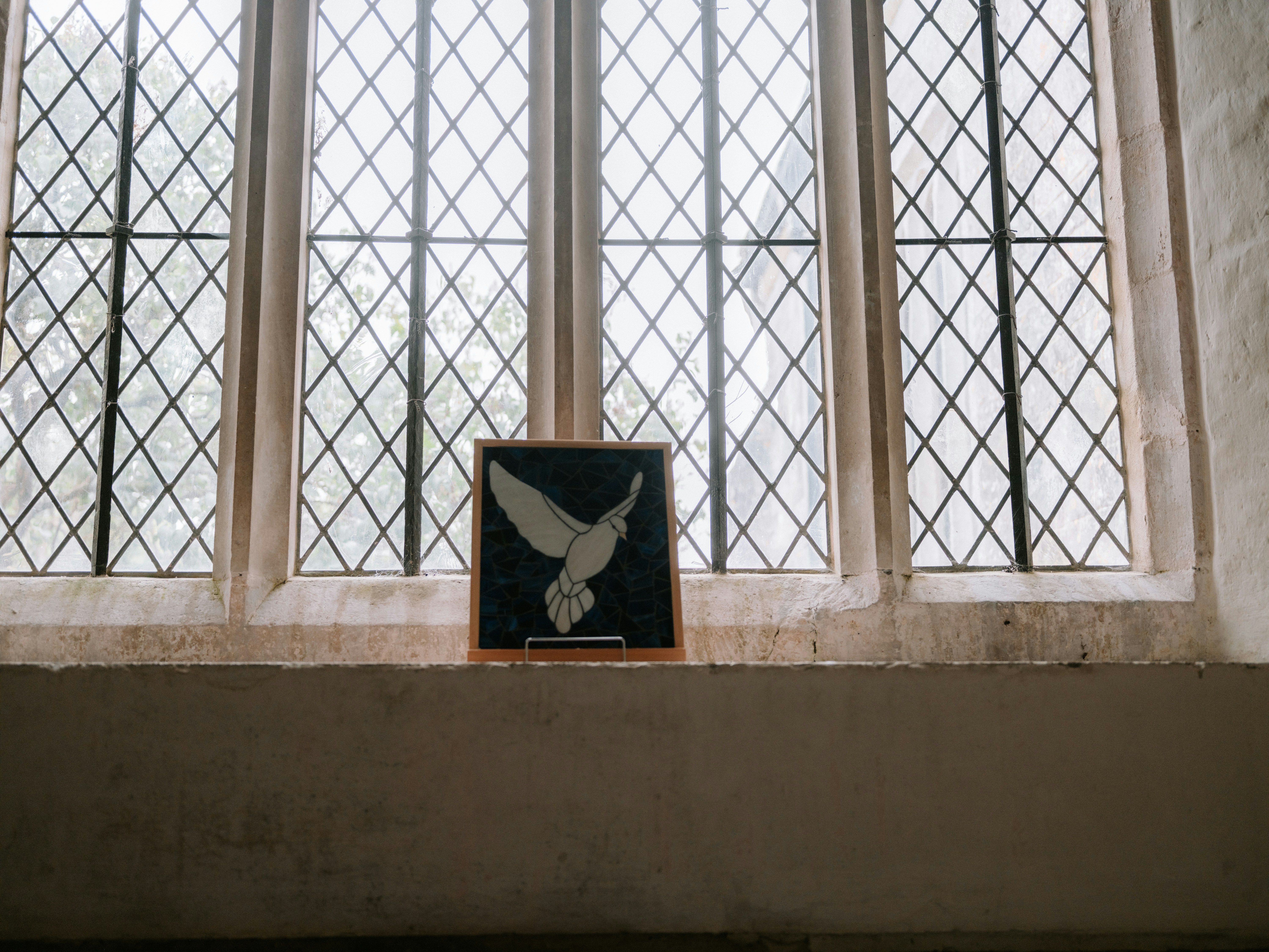 Horizon Gaze: Framed Dove Above a Windowed Wall