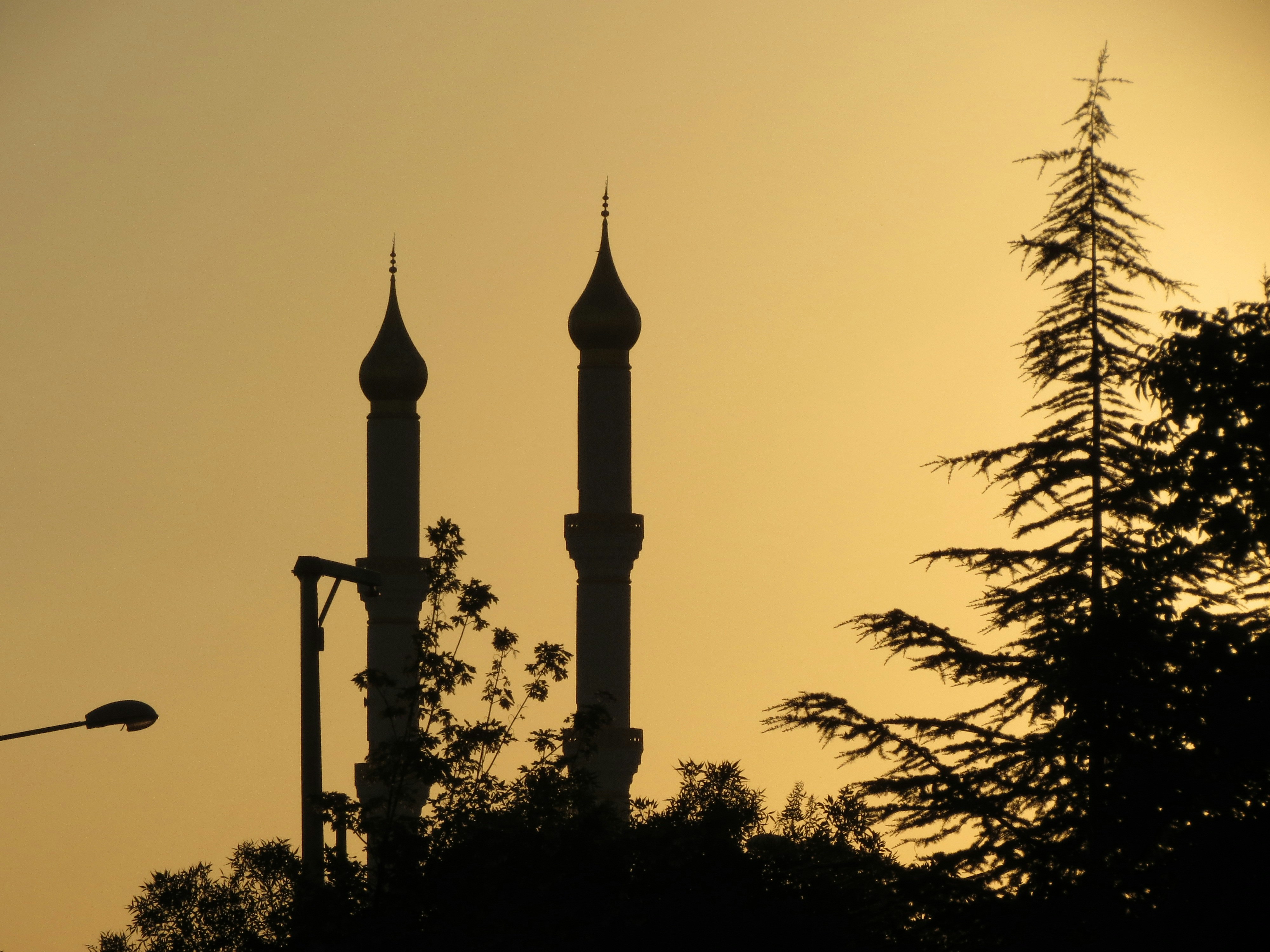Silhouette of Twin Minarets at Dusk Behind Pine and Streetlight
