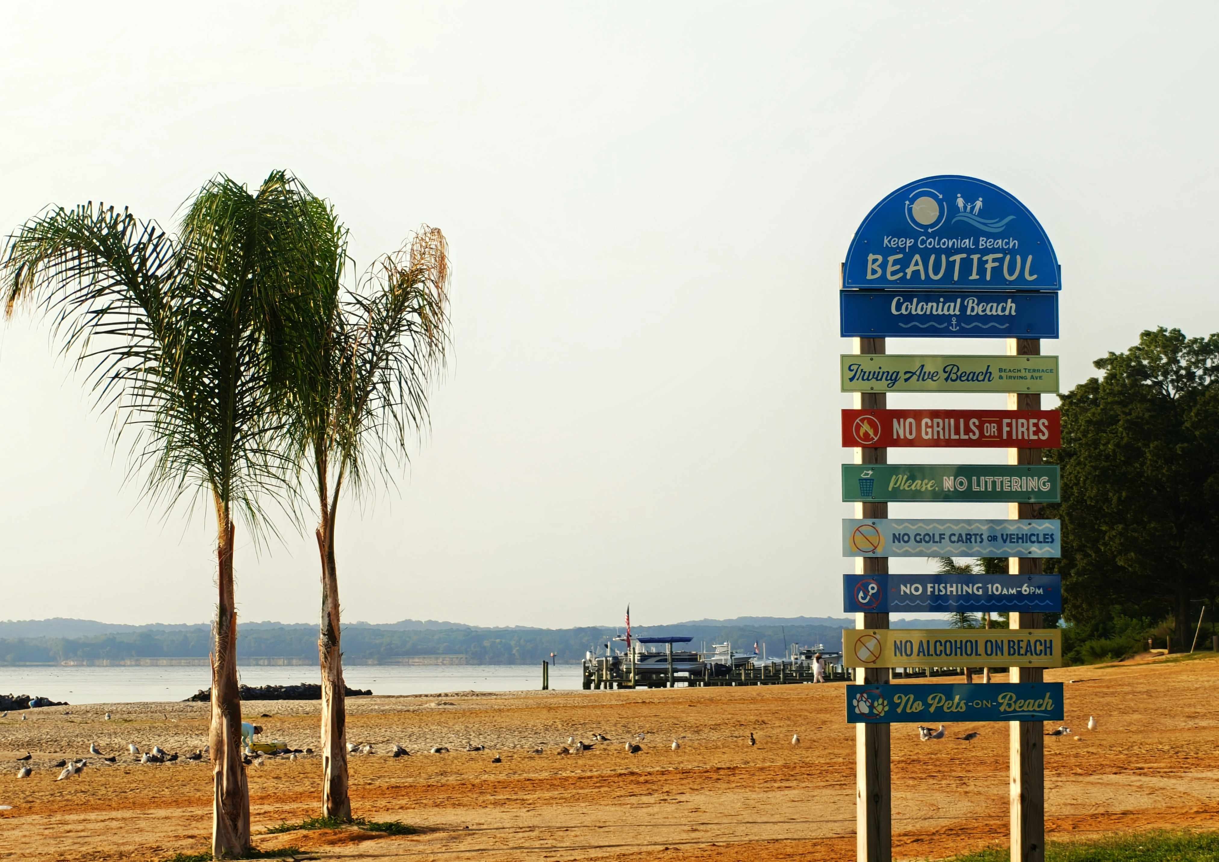 A sign with beach rules beside two palm trees on Colonial Beach.