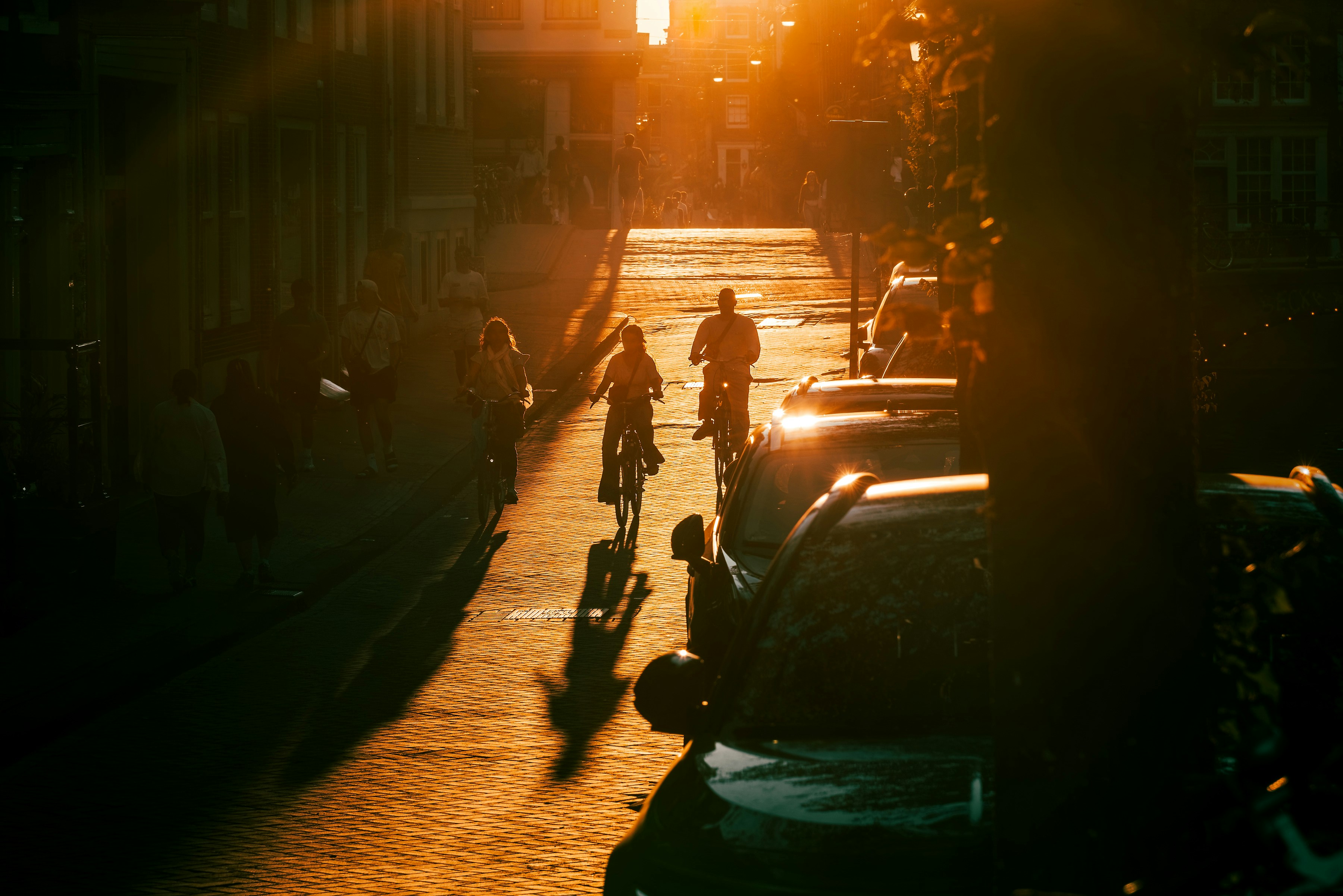 Golden Hour Confluence: Cyclists and Street in Silhouetted Traffic
