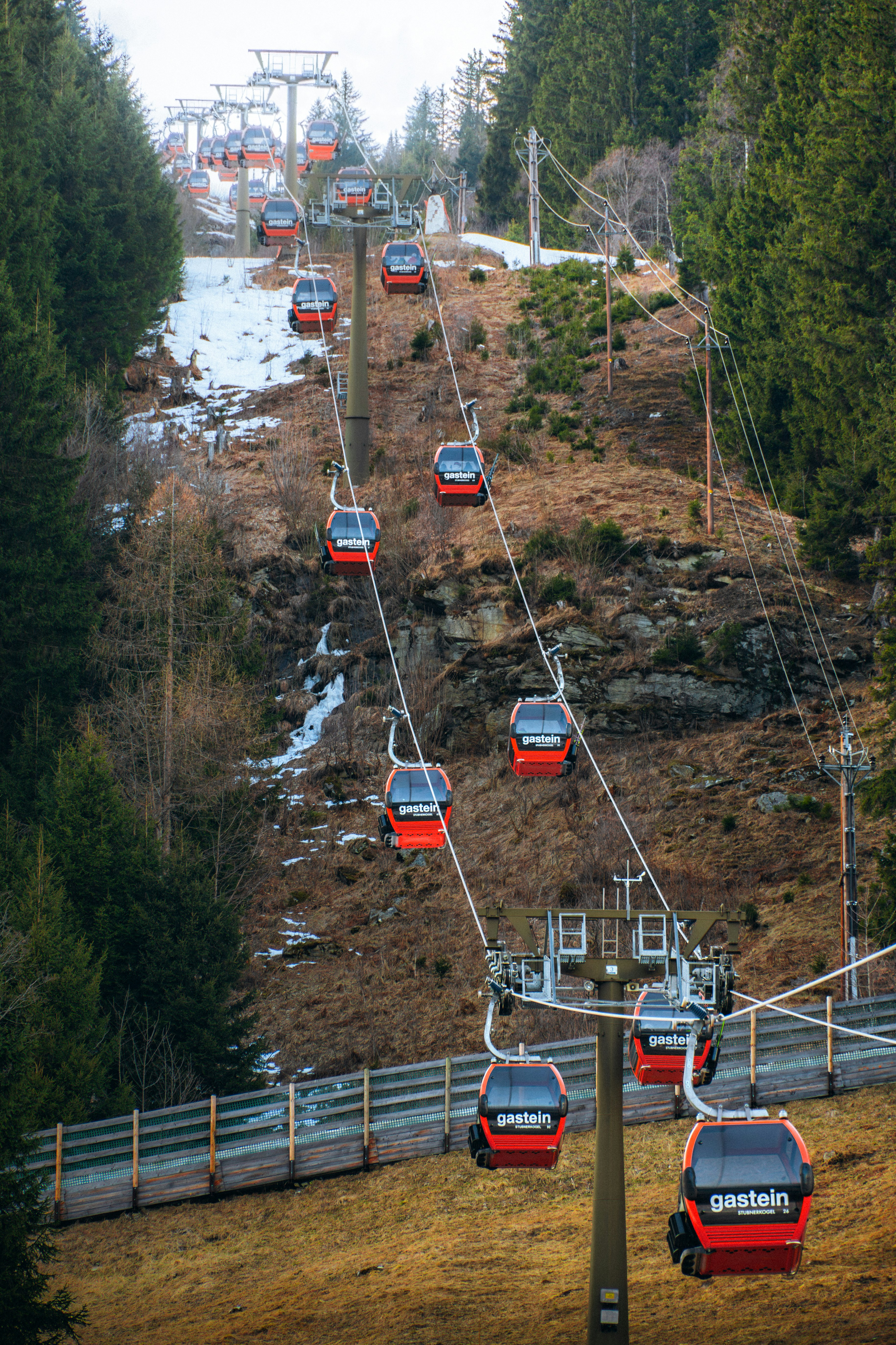 Red Gondolas Climb the Mountain: A Cable Car Ascent through Winter Forest