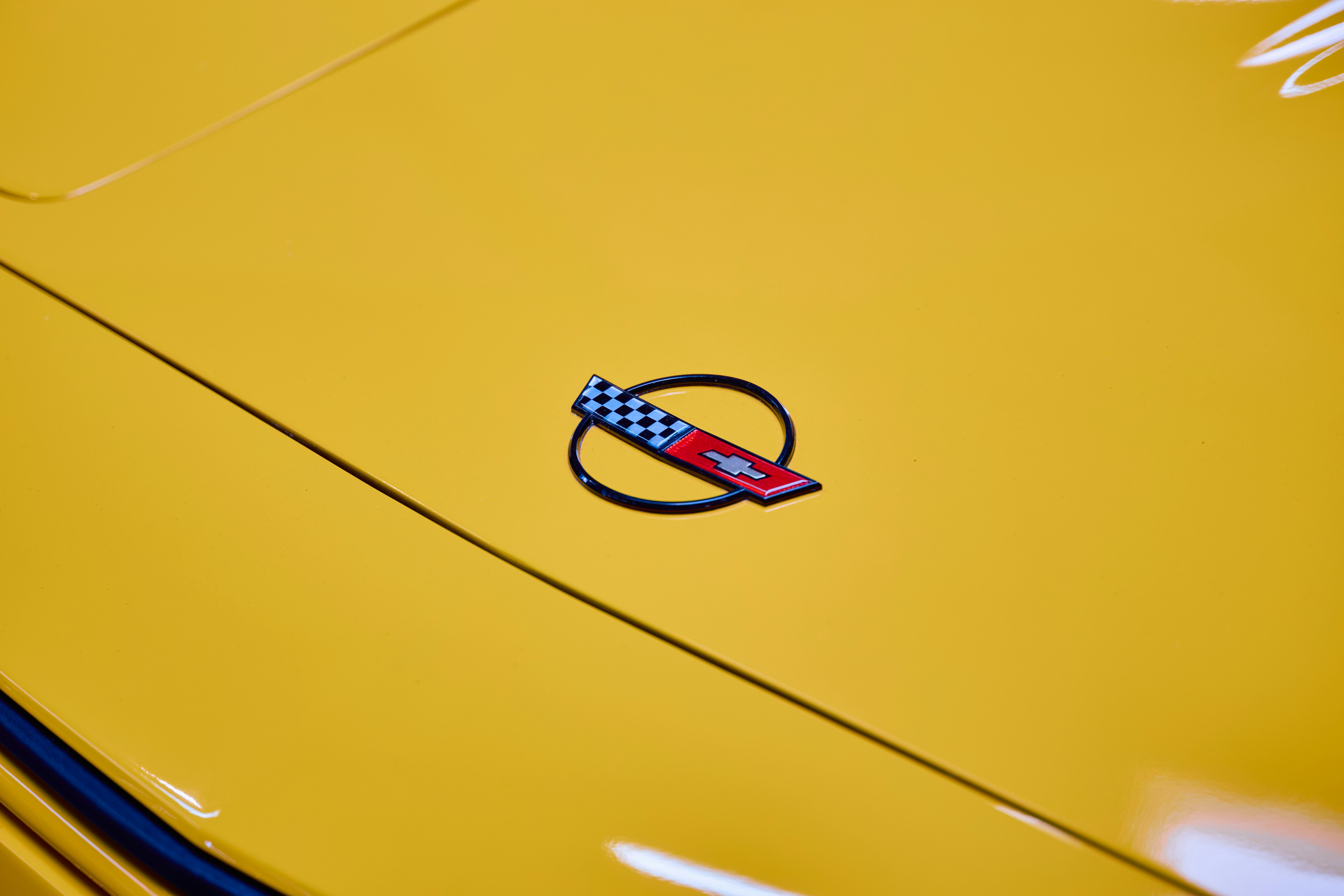 Emblem on a Sunlit Yellow Hood