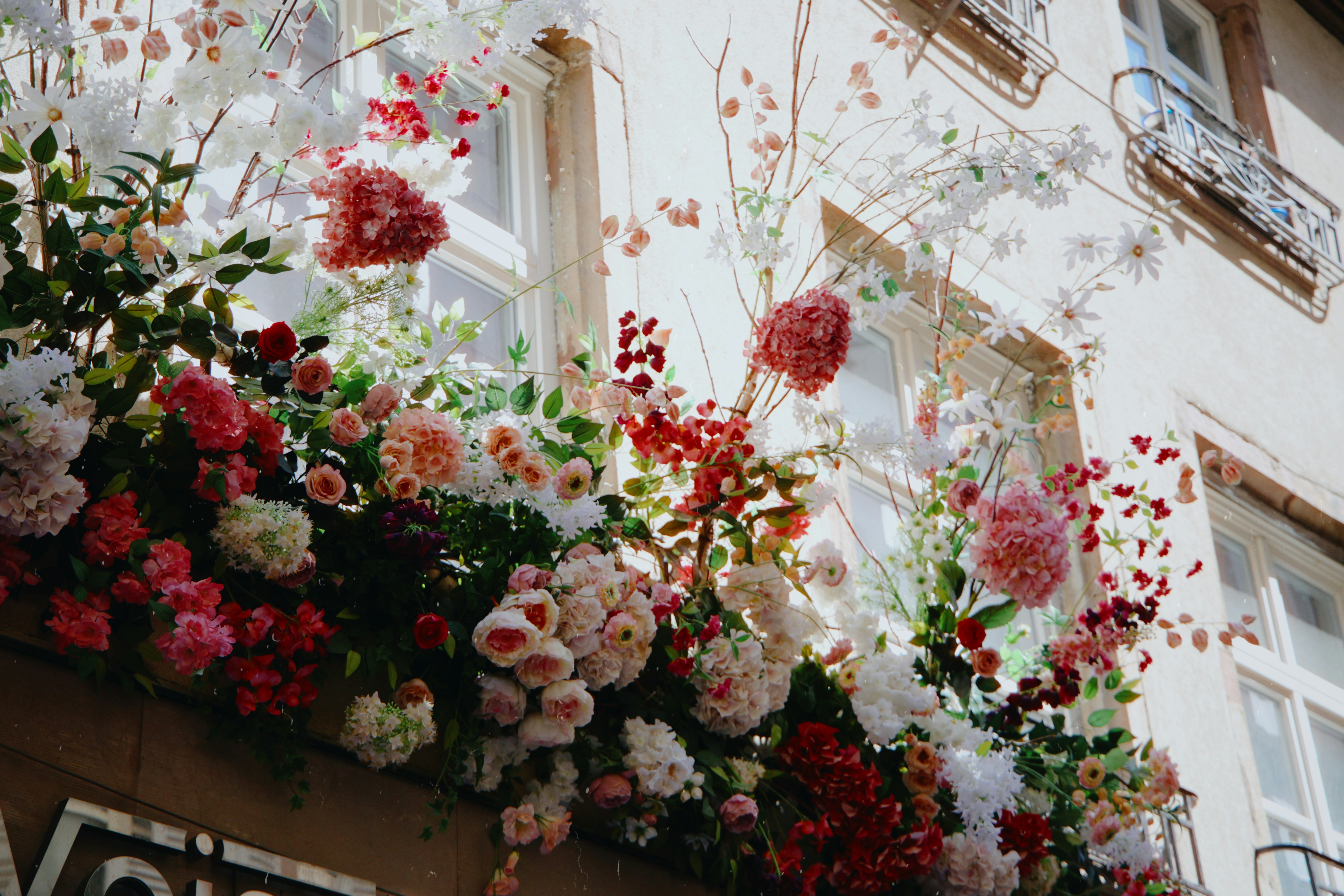 Floral Balcony Cascade Over a Sunlit City Facade