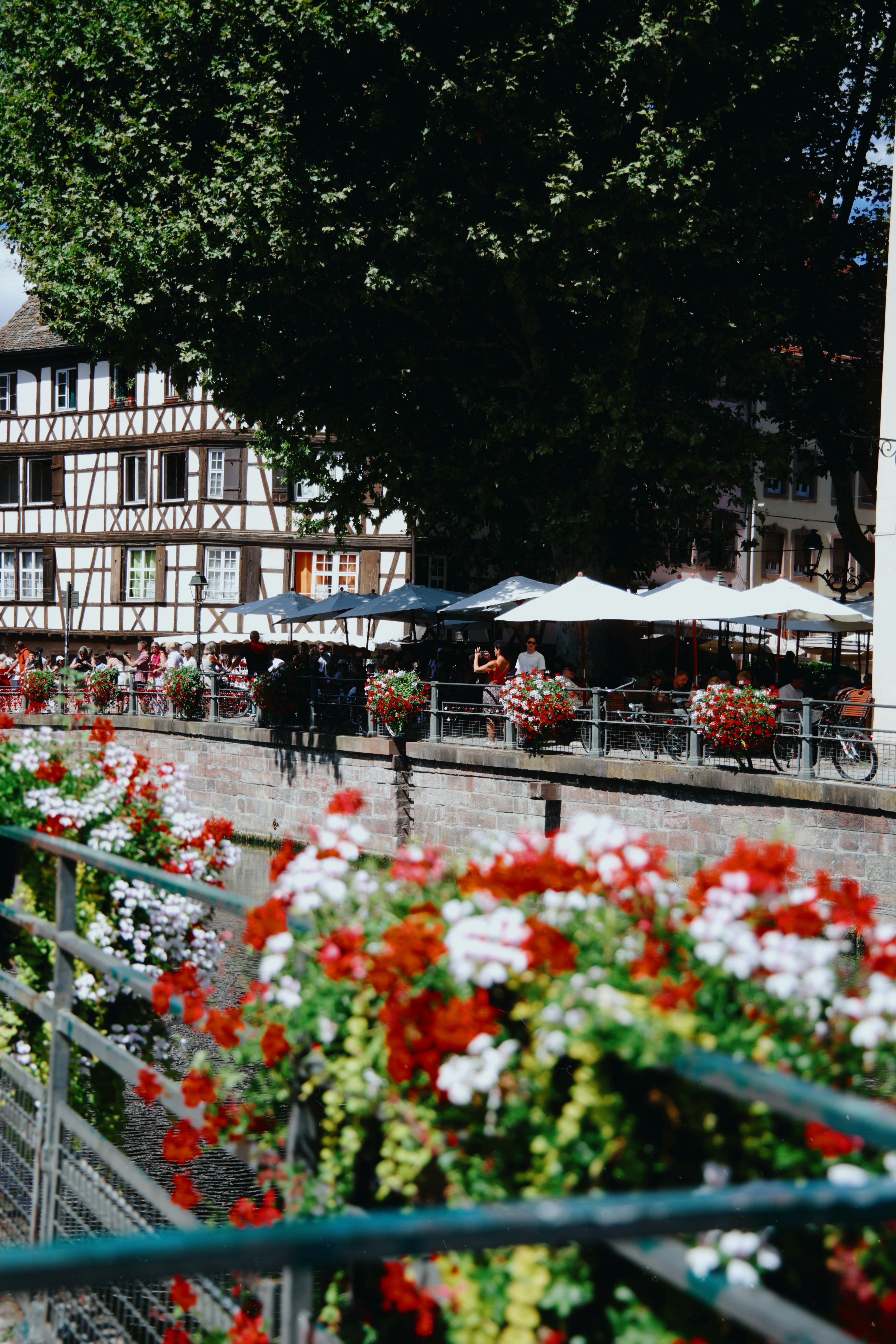 Flowered railing overhang: a riverside cafe scene in bloom