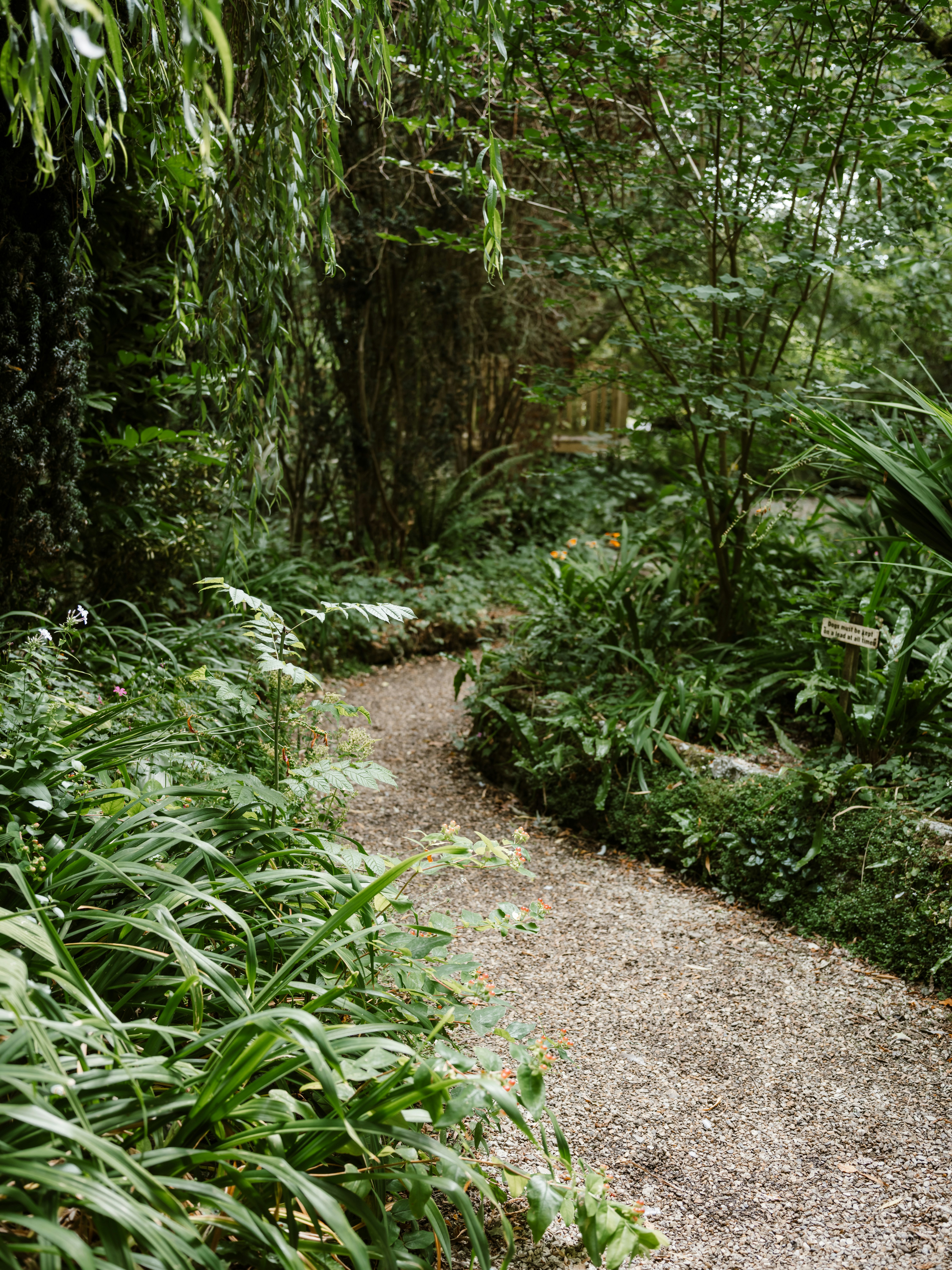 Garden Path Through the Verdant Corridor