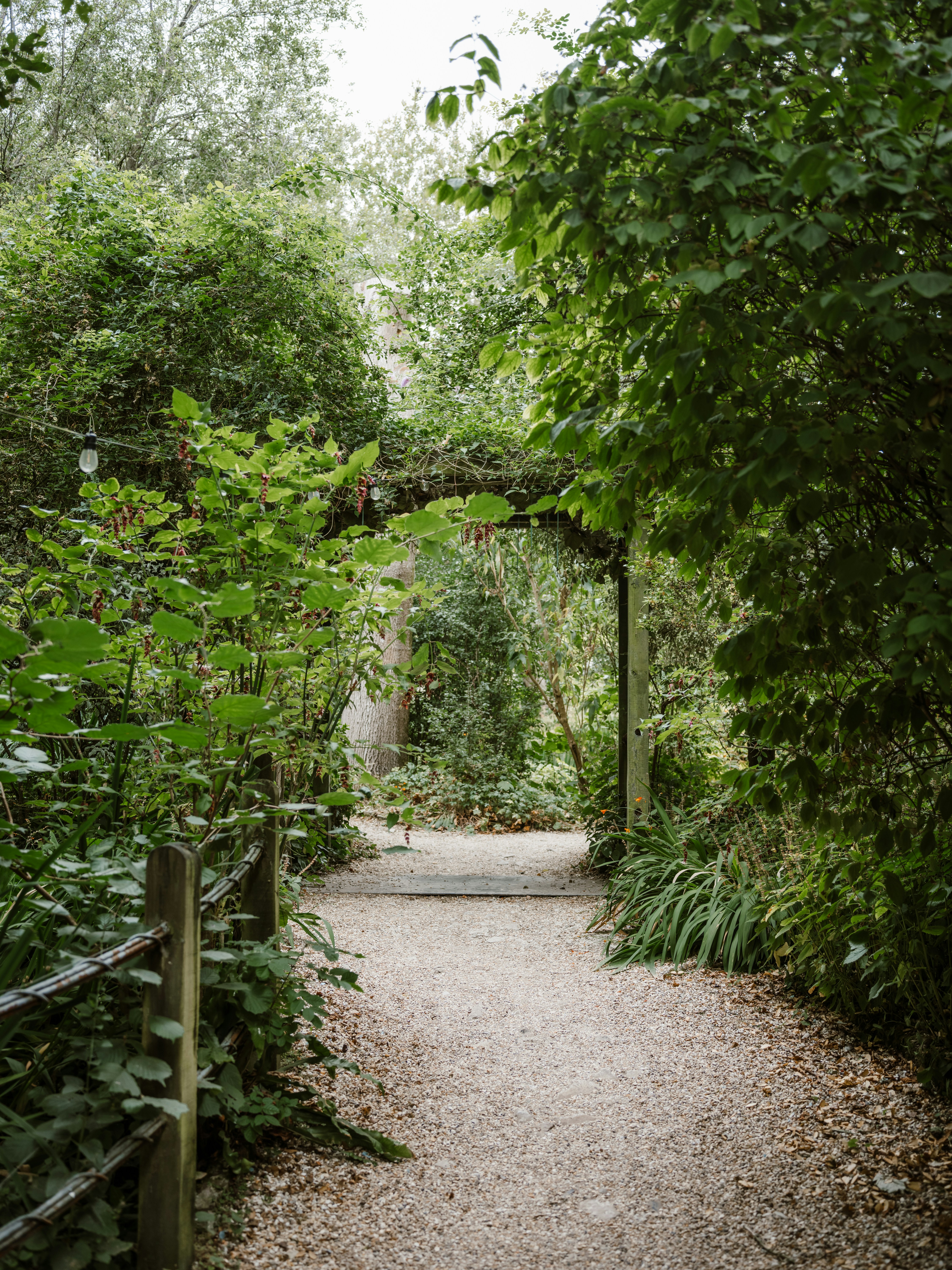 Garden Gate through a Quiet Path
