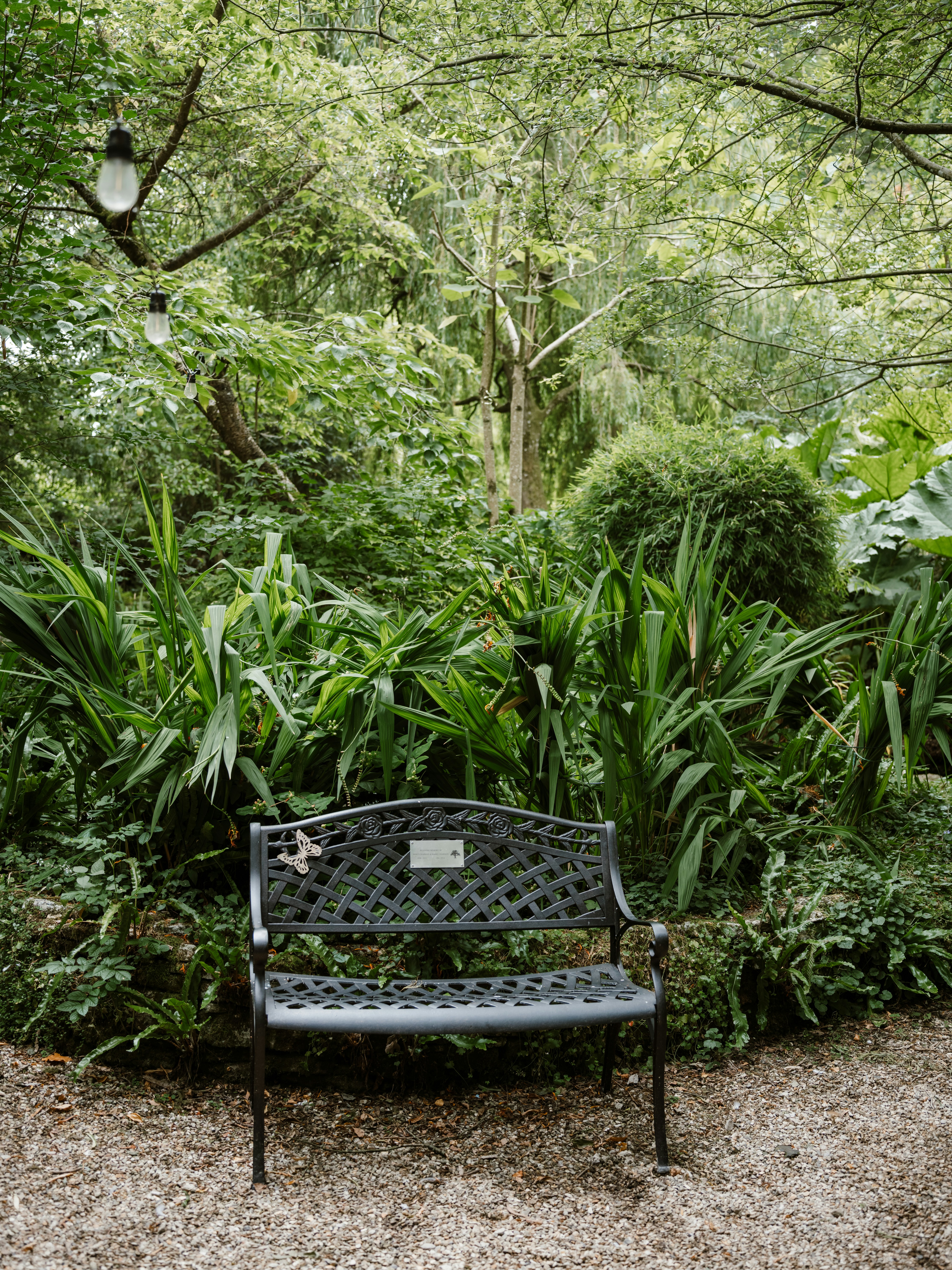 Silent Garden Bench Amidst Lush Greenery