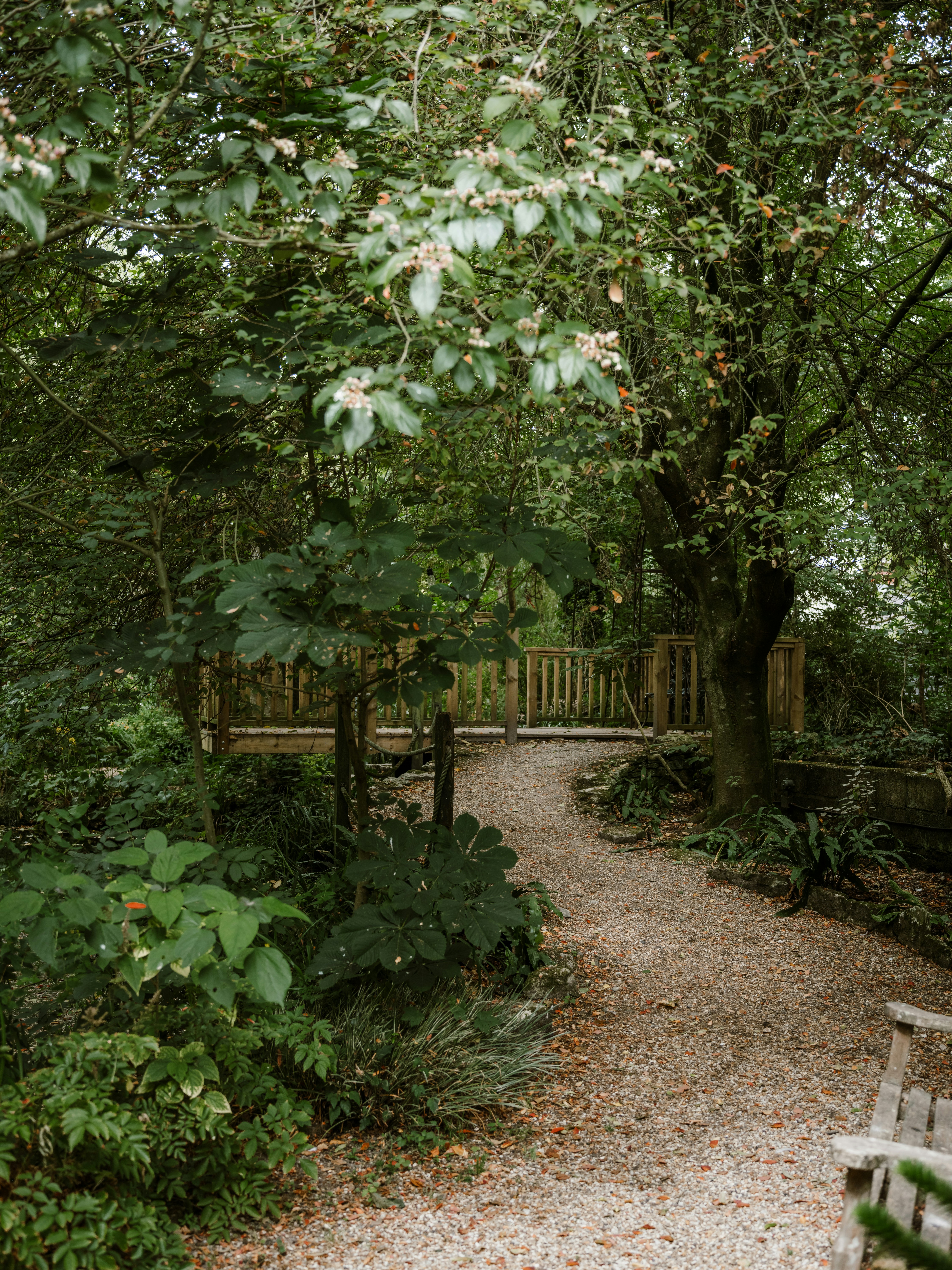 Path Through a Quiet Garden Corridor Under a Canopy