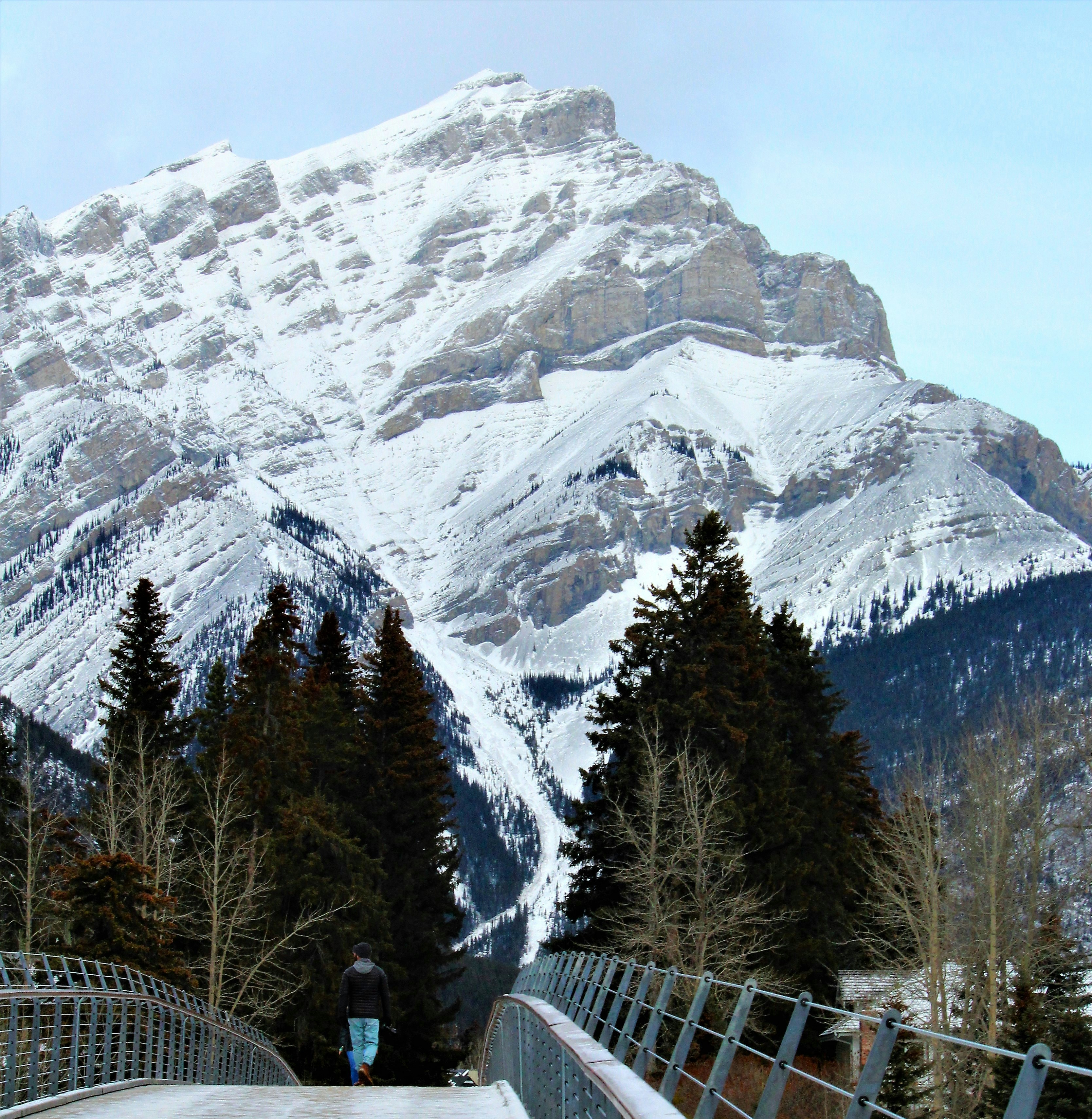 Snow-Crowned Peak Over a Forested Footbridge