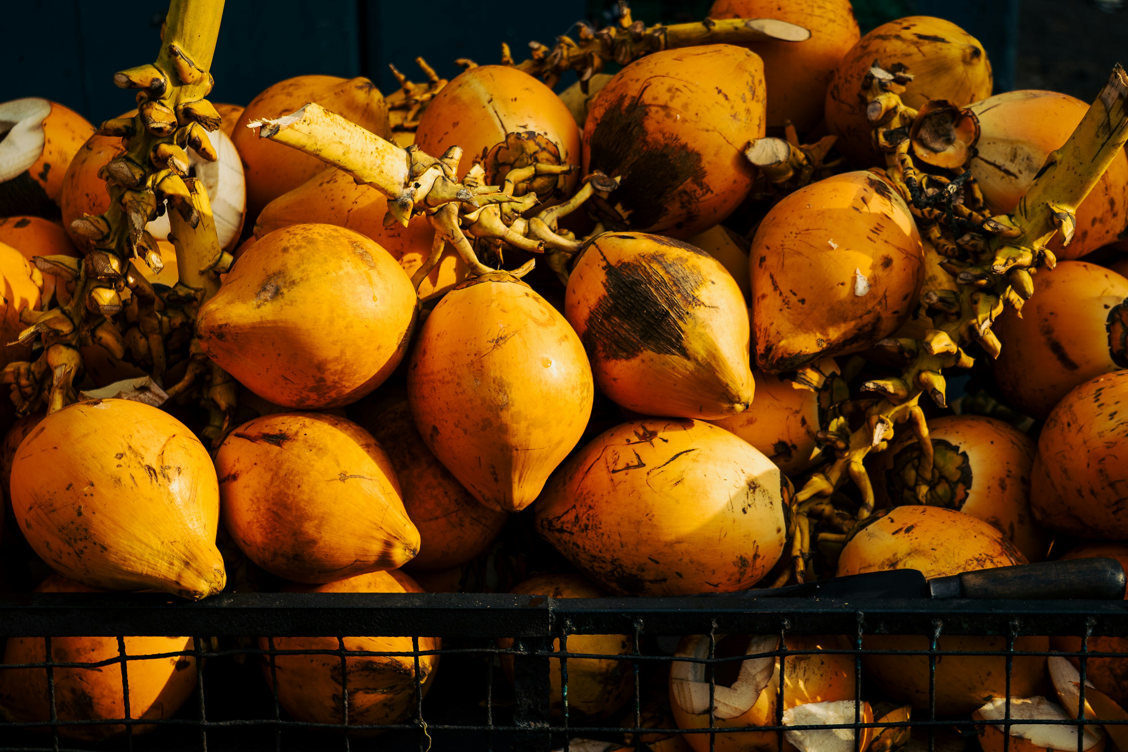 Harvest of Golden Orbs: Mangoes Piled in a Market Crate
