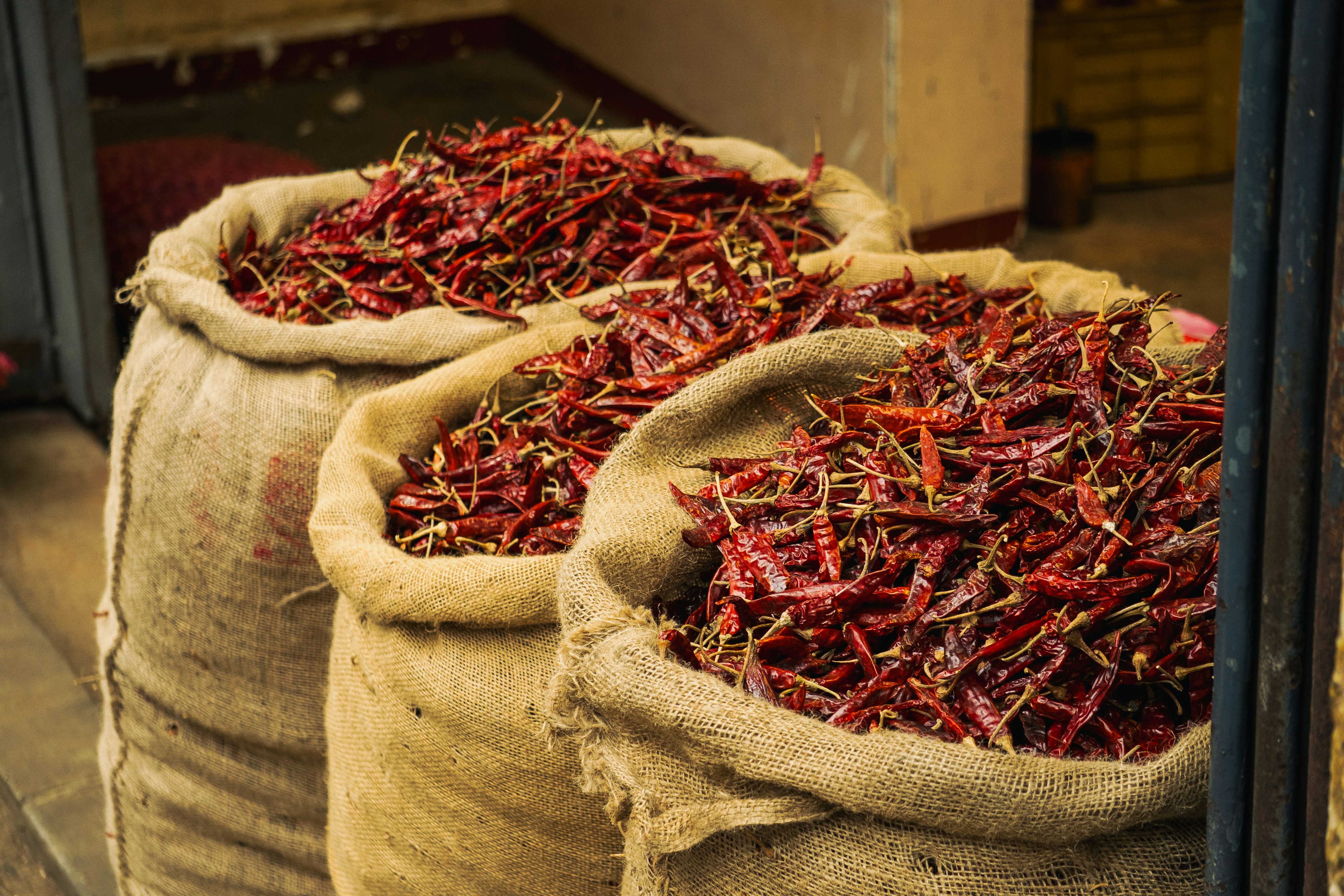 Scarlet Arrows: Burlap Sacks Brimming with Dried Chili