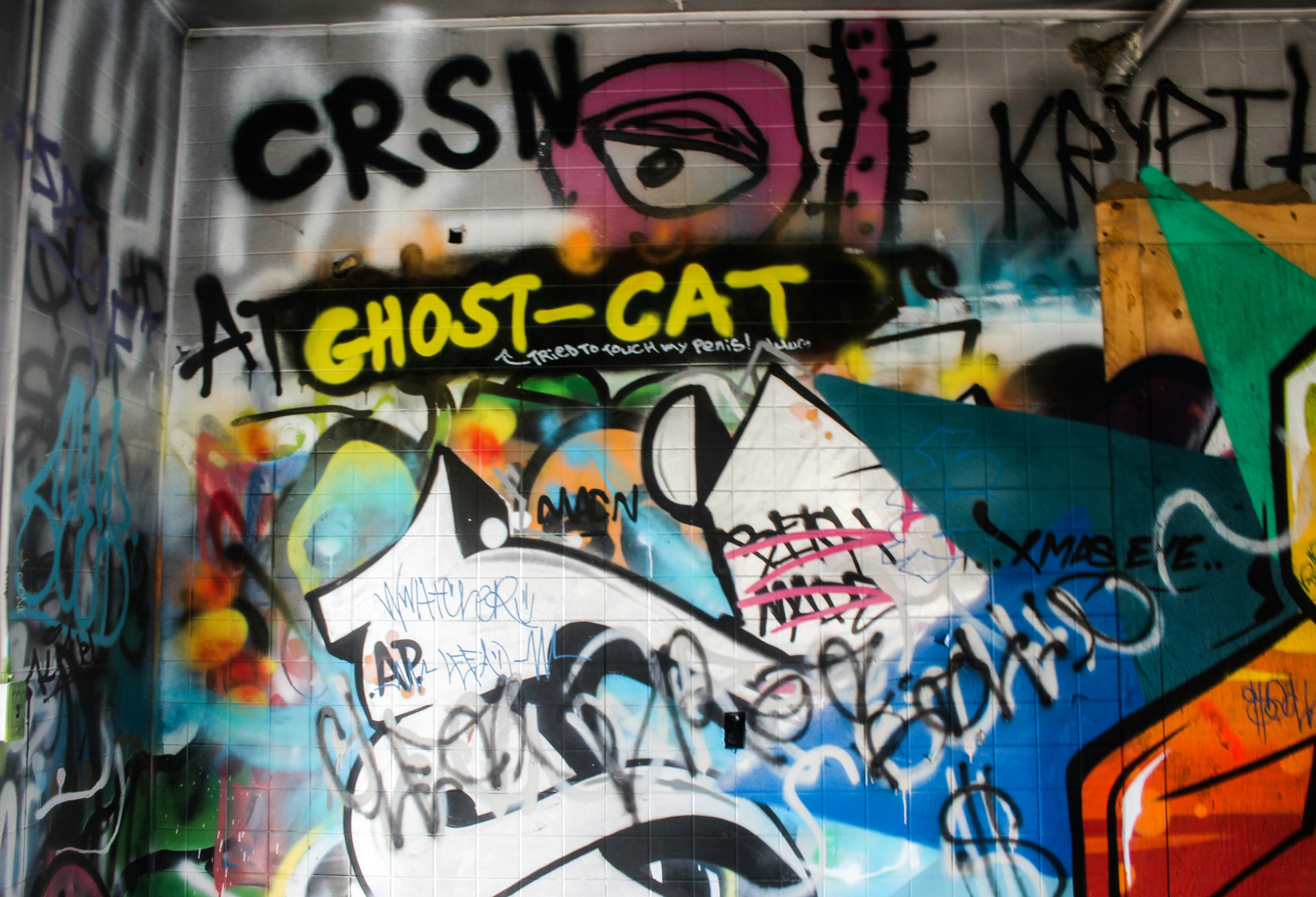 Ghost Cat Overpaint: Neon Graffiti and Bold Eyes