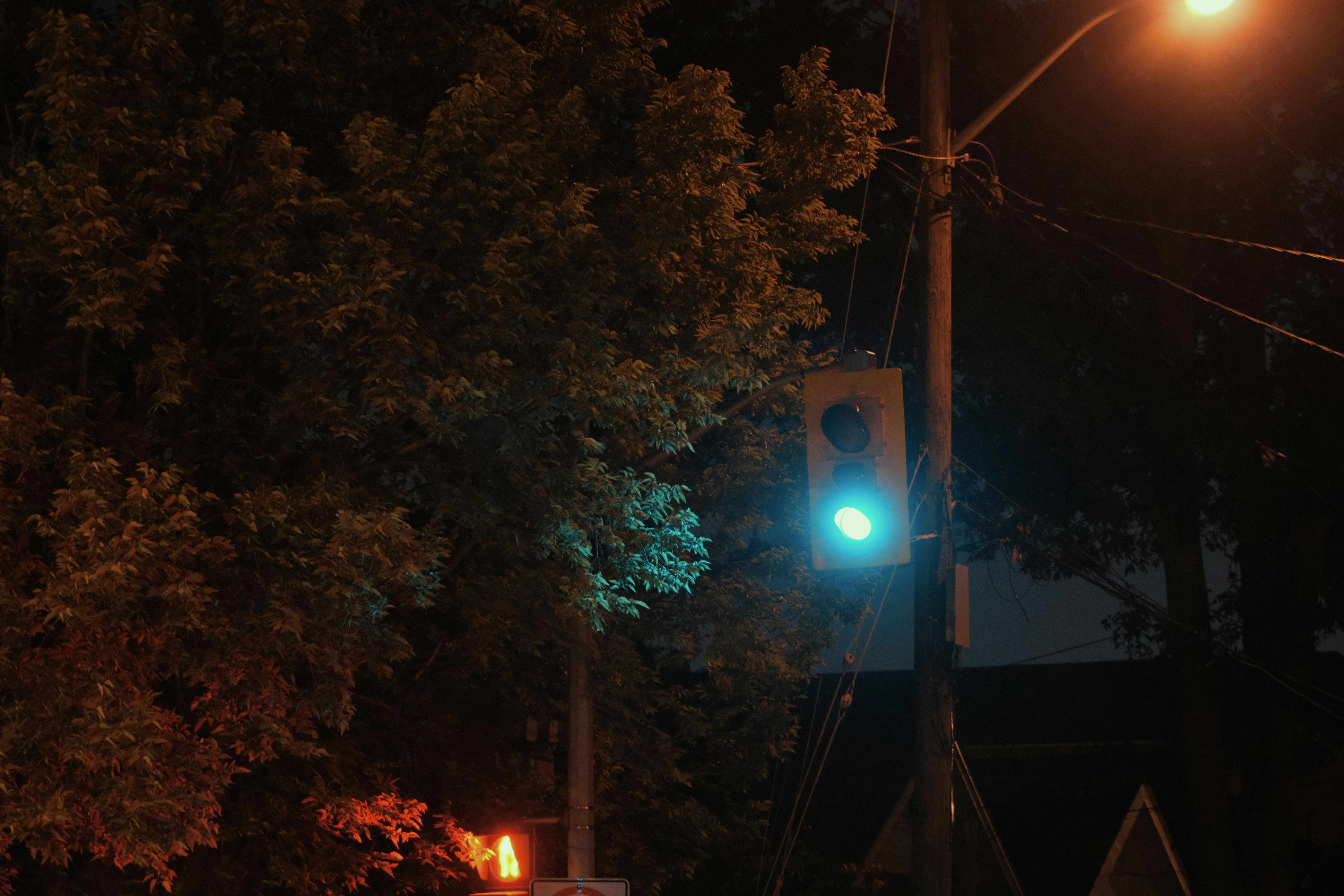 Neon Quiet: A Night Stretch with Green Pedestrian Signal