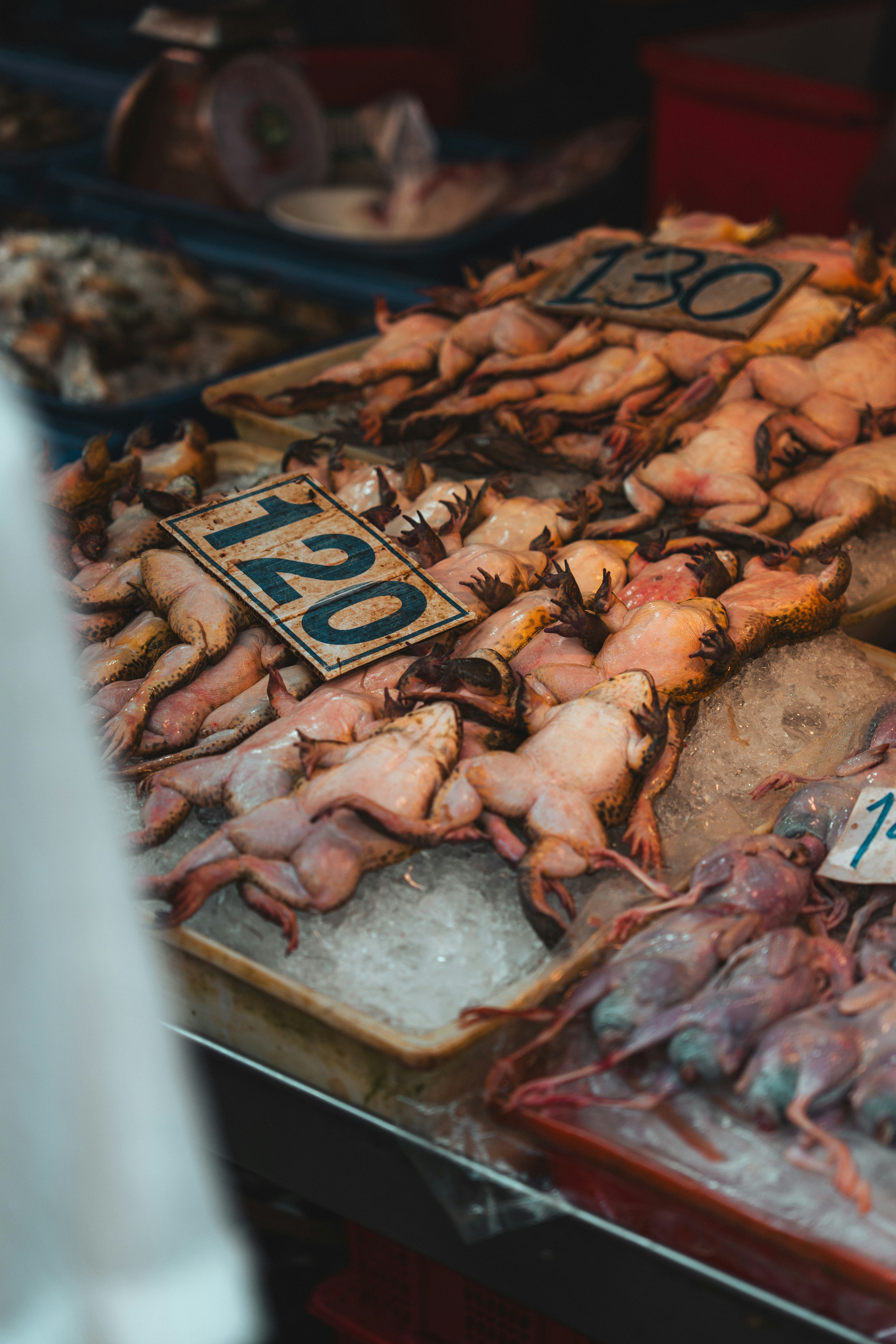 Market_Pond: Fresh Shrimp on Ice with Price Tags