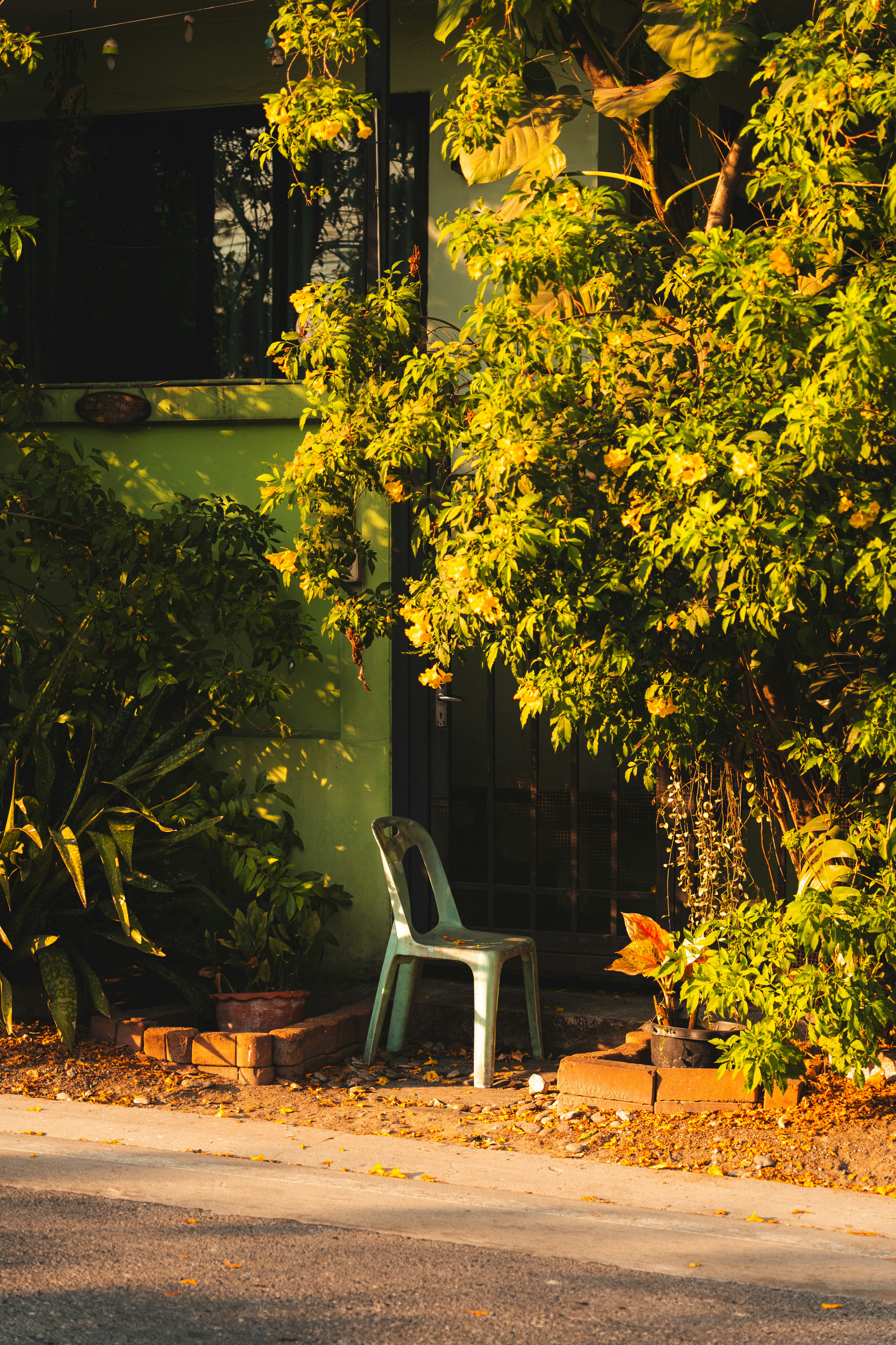 Overgrown Porch with Solitary Chair in Dappled Afternoon Light