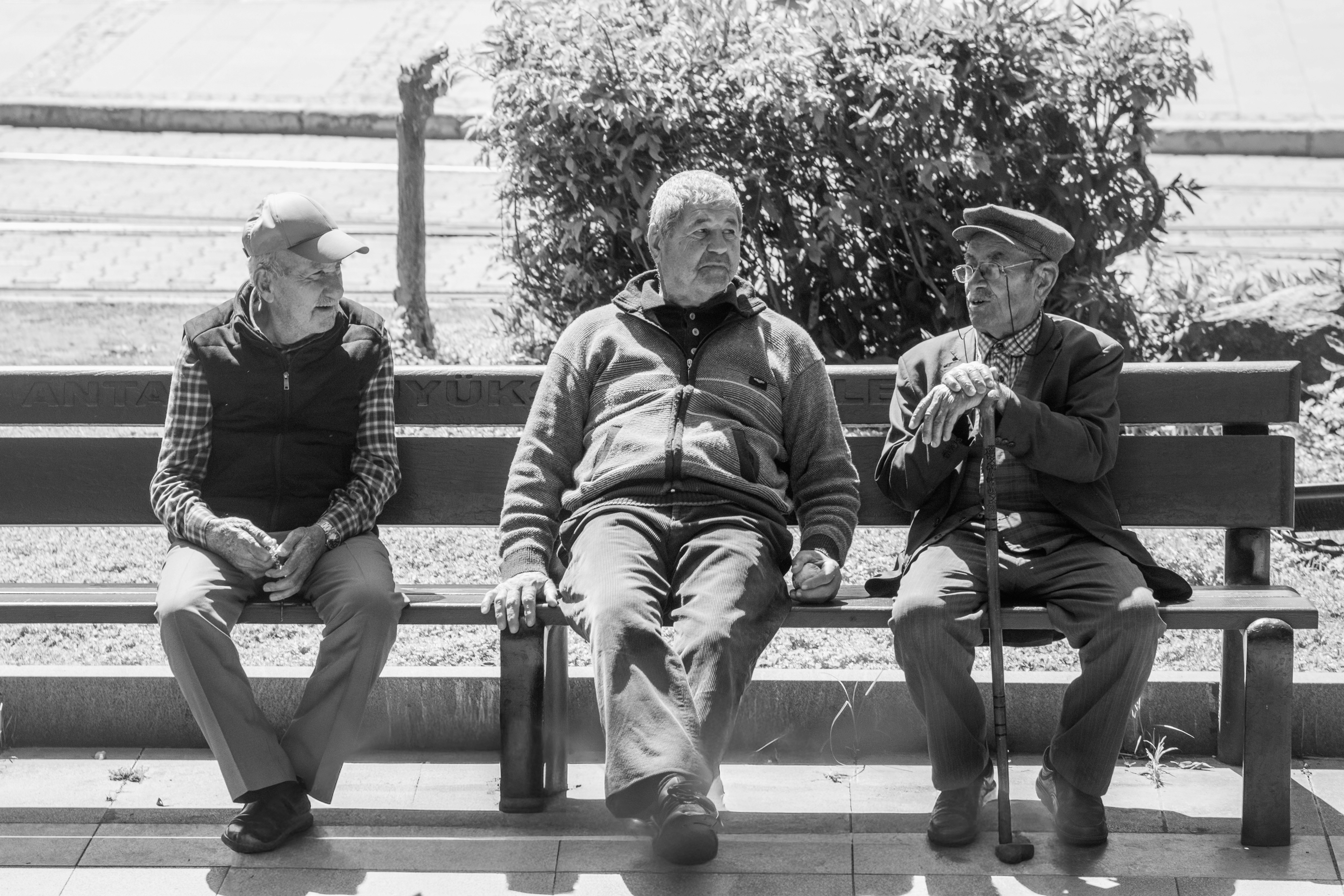 Three Companions on a Park Bench