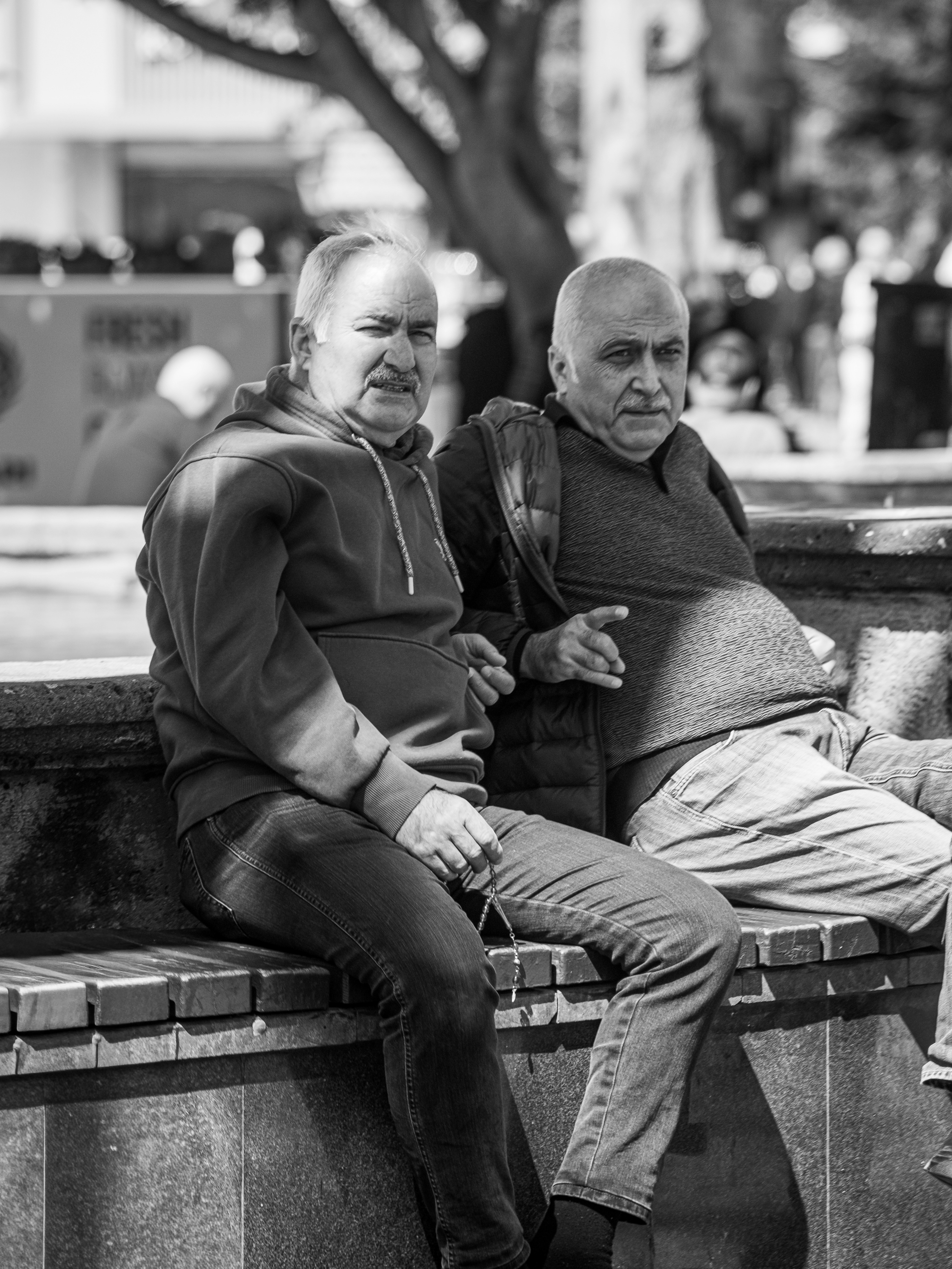 Two Companions on a Park Bench, Quietly Conversing