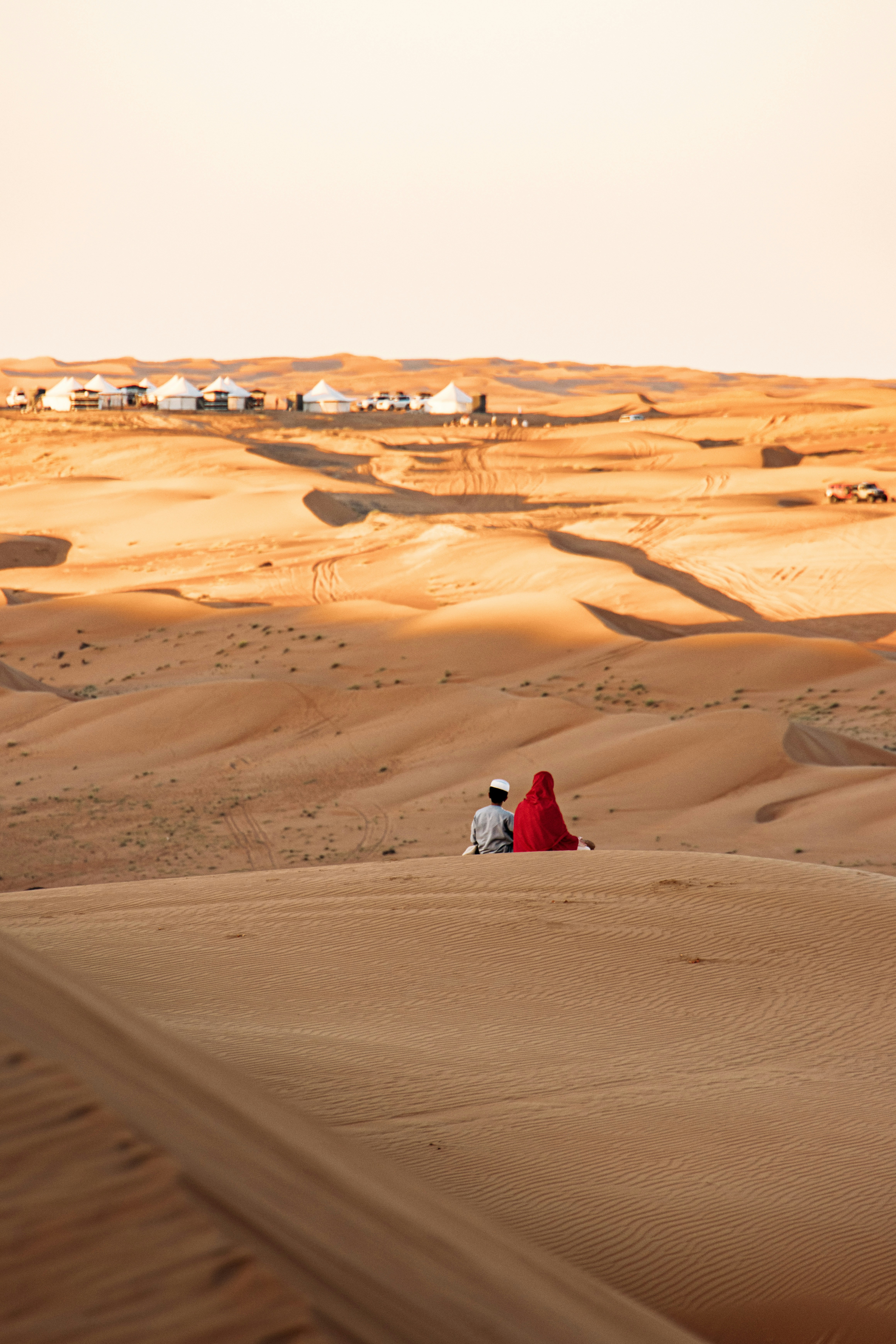 Desert Meet: Harsh Dunes and Silent Companions