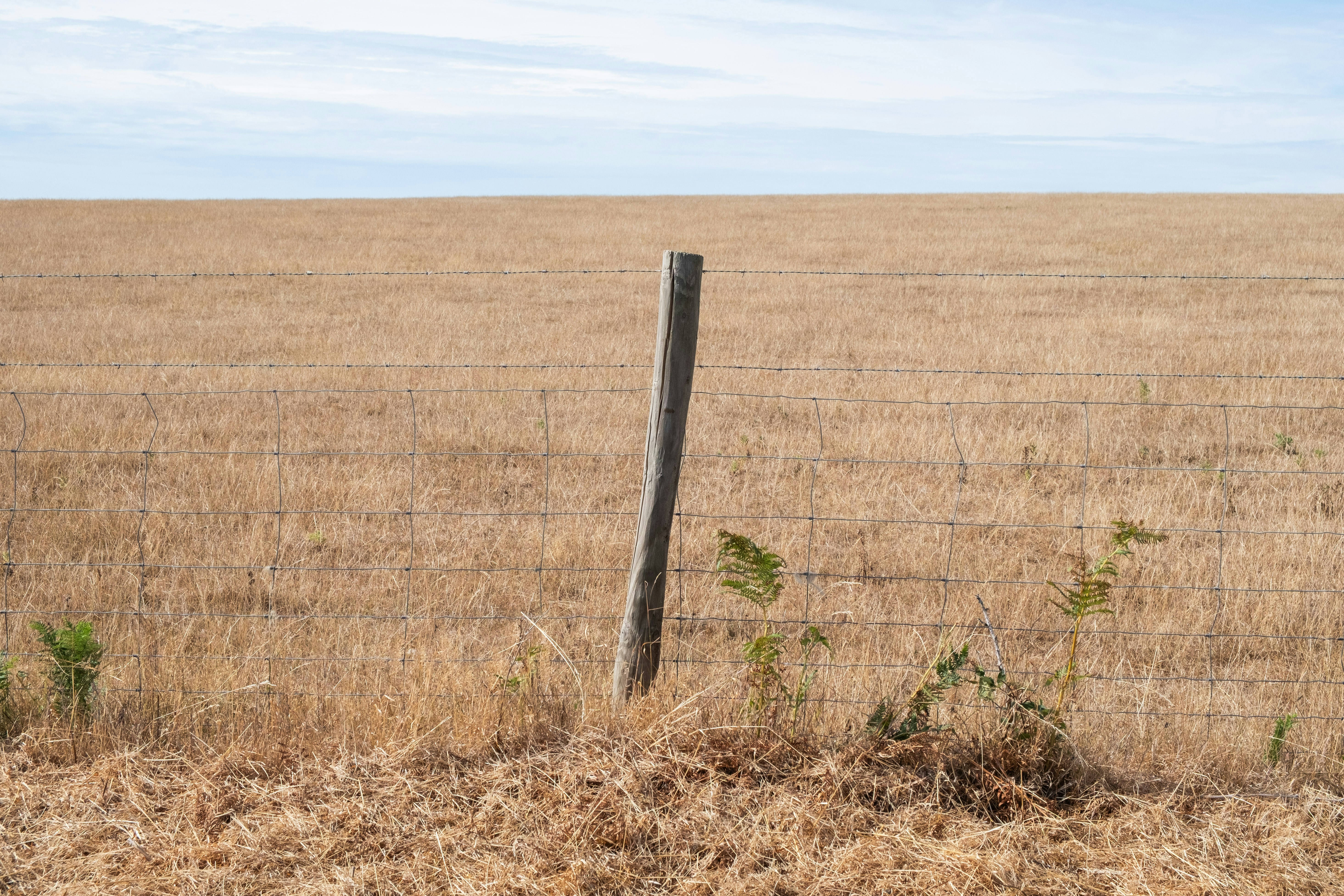 A lone weathered fence post stands near dry grass in a vast harvested field, under a pale blue sky. The scene emphasizes rural solitude and agricultural backdrop.
